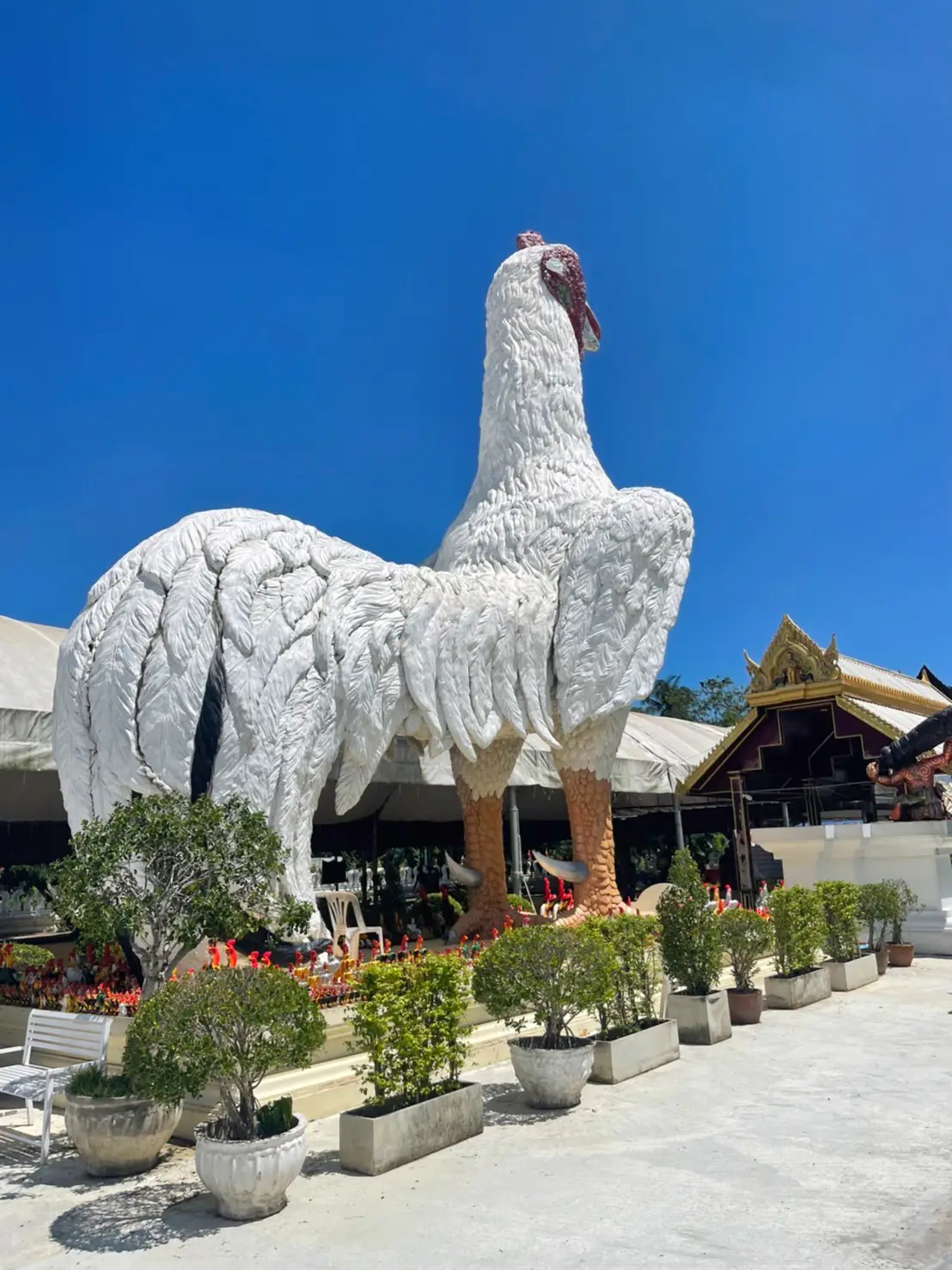 วัดเจดีย์ (ไอ้ไข่)🙏🏻💰🌹 | แกลเลอรีที่โพสต์โดย Chawarat_pu | Lemon8