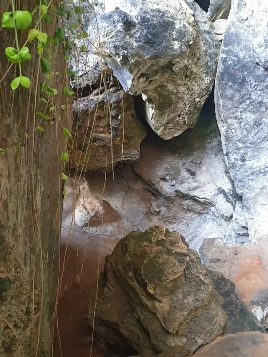 ถ้ำค้างคาวไร่เลย์ | แกลเลอรีที่โพสต์โดย shebeen - ชีบีน | Lemon8