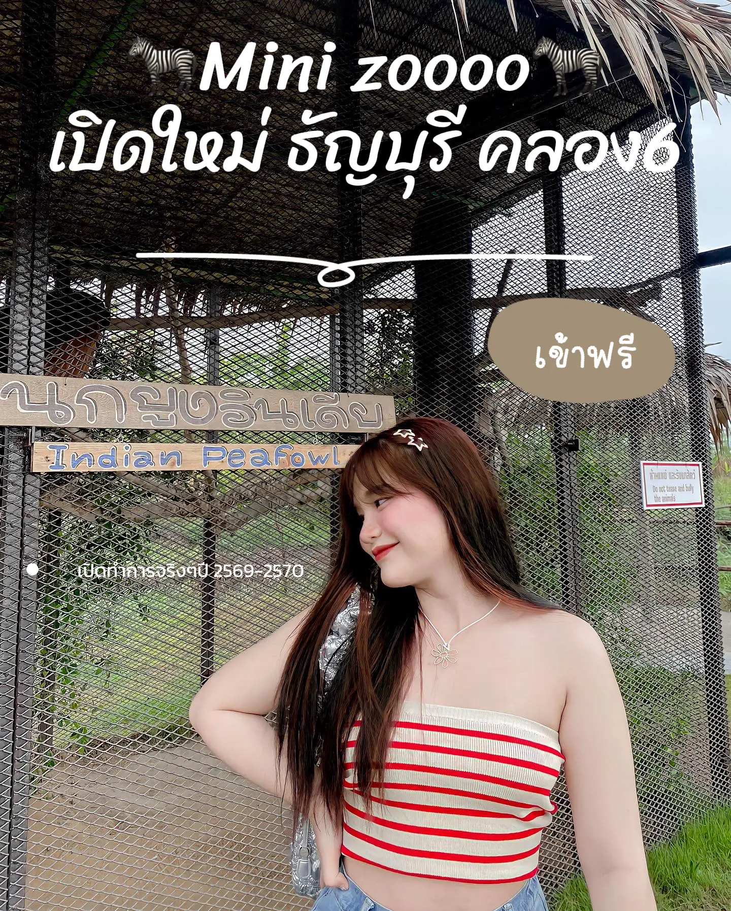 🦓🦍Mini zoo ธัญบุรี คลอง6 จ.ปทุมธานี🦓🦍 | แกลเลอรีที่โพสต์โดย Pimlapadss | Lemon8