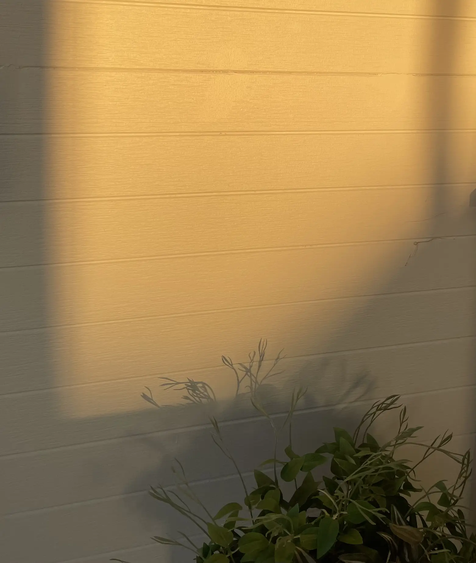 แสงพระอาทิตย์ตกในช่วงฤดูฝน 🌦 | แกลเลอรีที่โพสต์โดย lllkkk | Lemon8