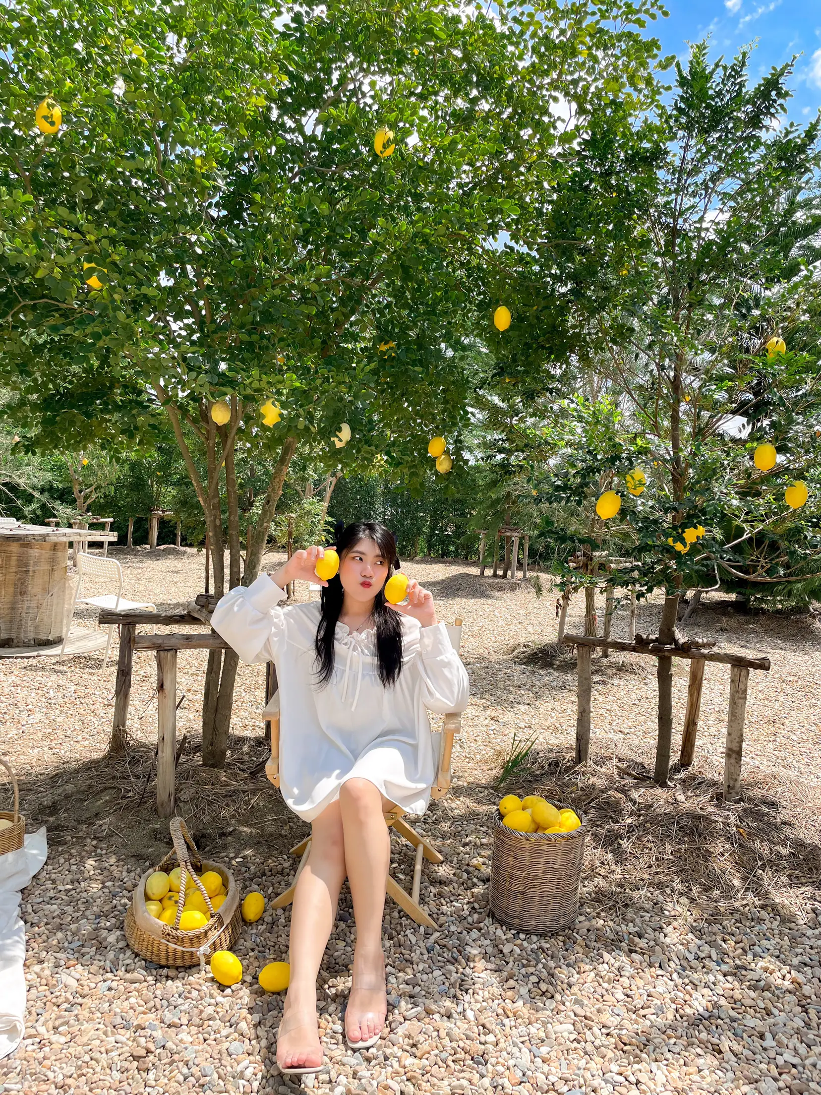 รวมพิกัดคาเฟ่นครปฐม วันเดียวเก็บครบ!🥰 | แกลเลอรีที่โพสต์โดย katt.kt___ | Lemon8