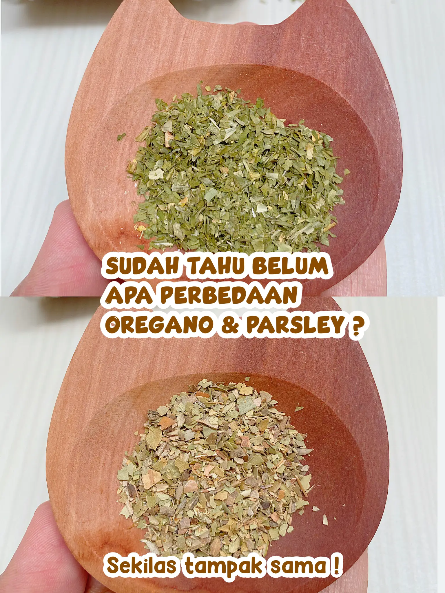 20 ide Perbedaan Antara Rosemary Oregano Basil Parsley teratas di 2024