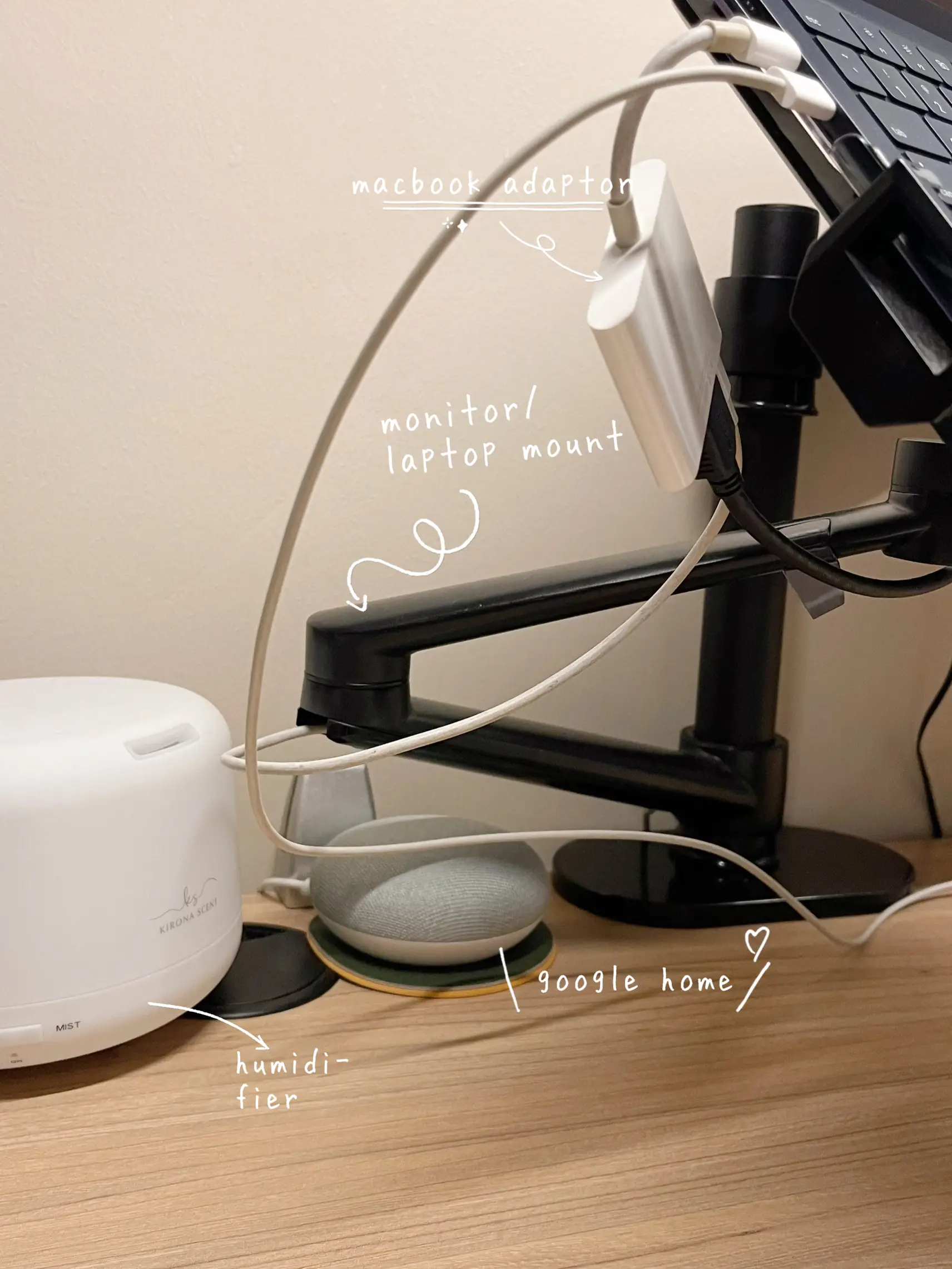 Desktop - Lemon8 Search