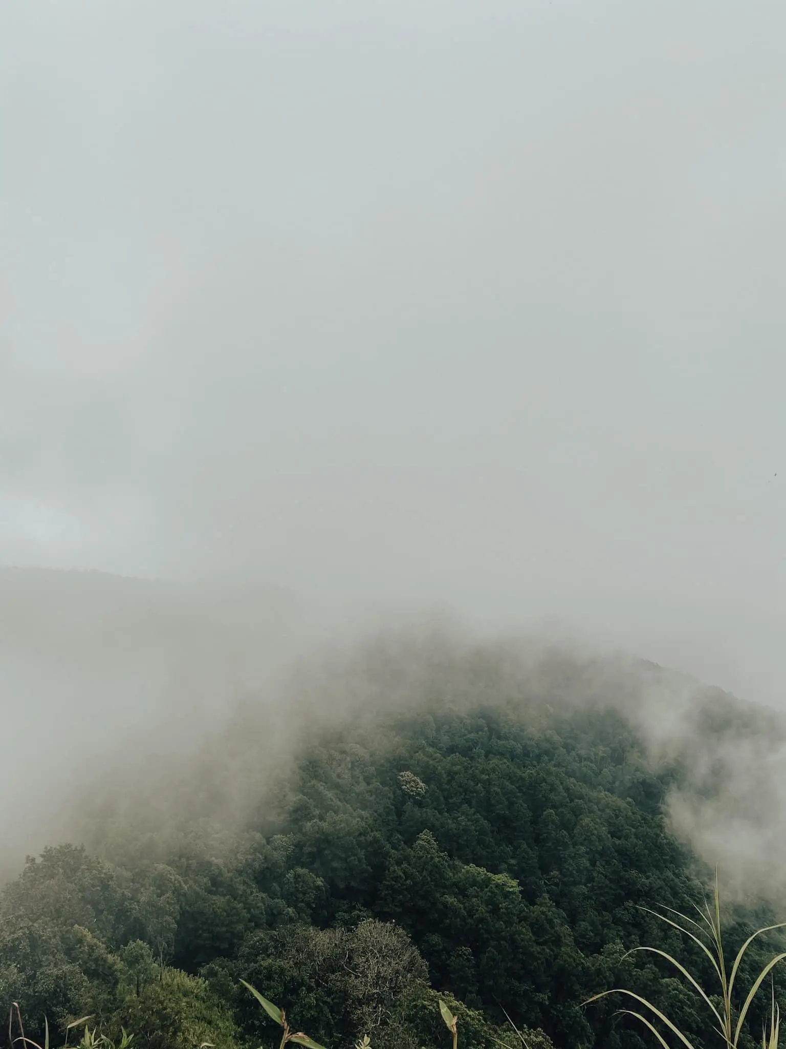 ดอยผาสามเหลี่ยม เดินง่าย ป่าสวย | แกลเลอรีที่โพสต์โดย Nit Niramon | Lemon8