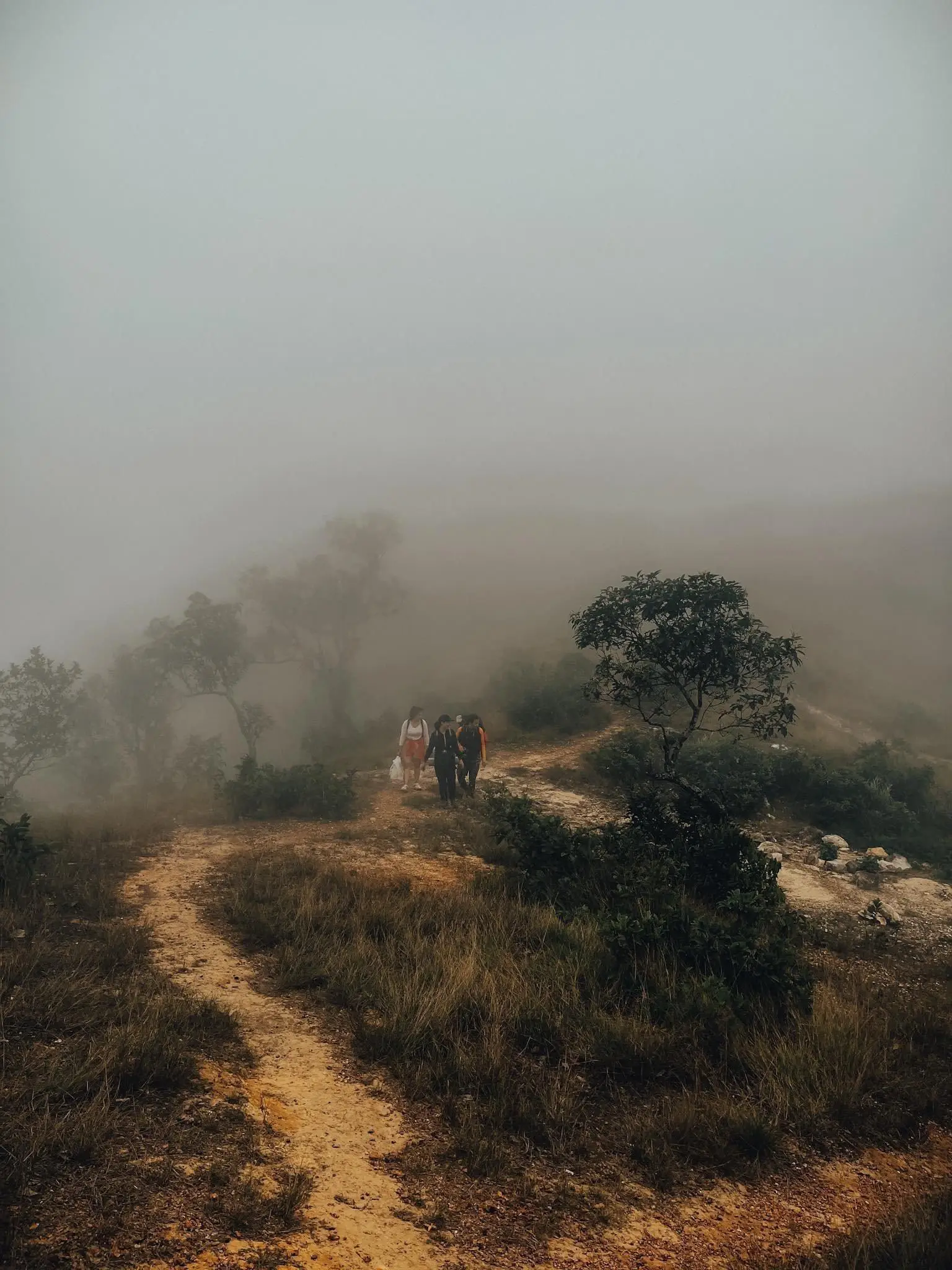 เดินป่าชิลล์ๆ (มั้ง) ที่ดอยลังกาน้อย | แกลเลอรีที่โพสต์โดย Nit Niramon | Lemon8