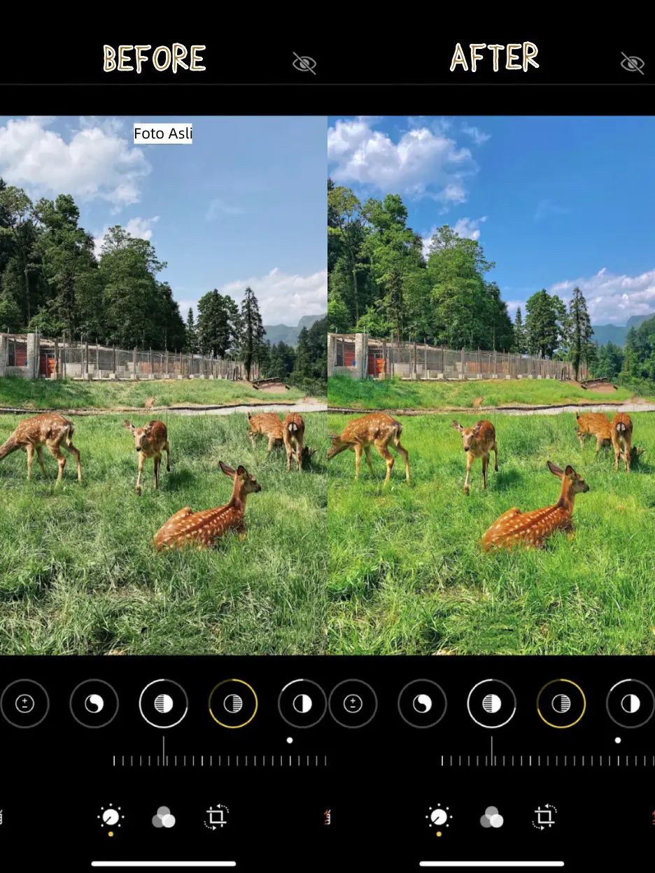 TIPS EDIT FILTER FOTO JADI SUPER BAGUS🏞🧩 | Galeri diposting oleh ...