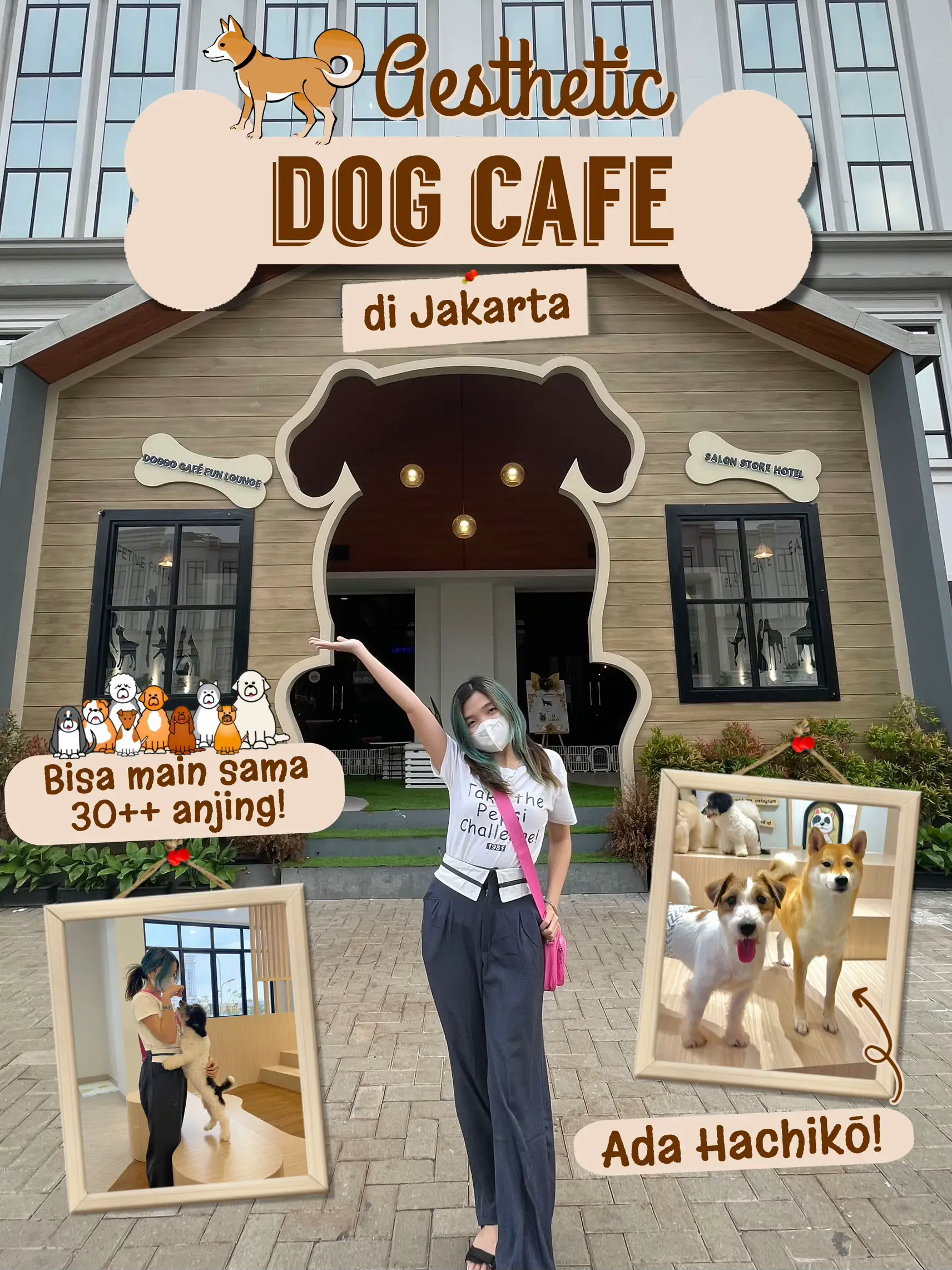 Dog cafe aesthetic di Jakarta 🐶 | Galeri diposting oleh Shinta tata ...