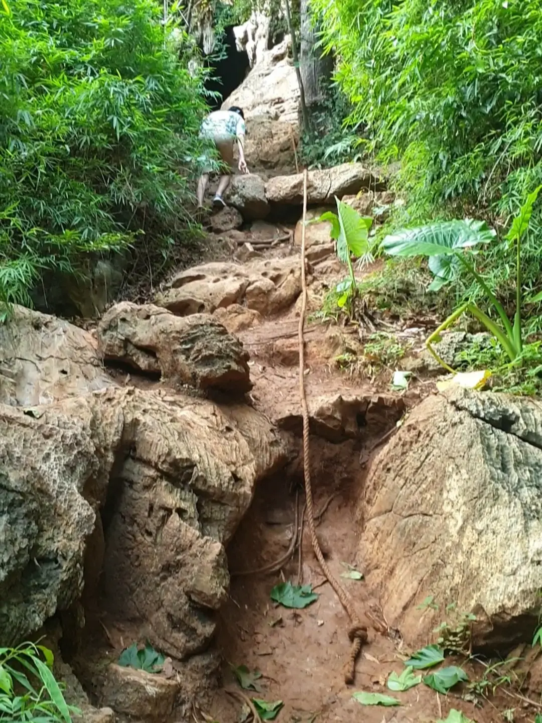 ถ้ำค้างคาวไร่เลย์ | แกลเลอรีที่โพสต์โดย shebeen - ชีบีน | Lemon8