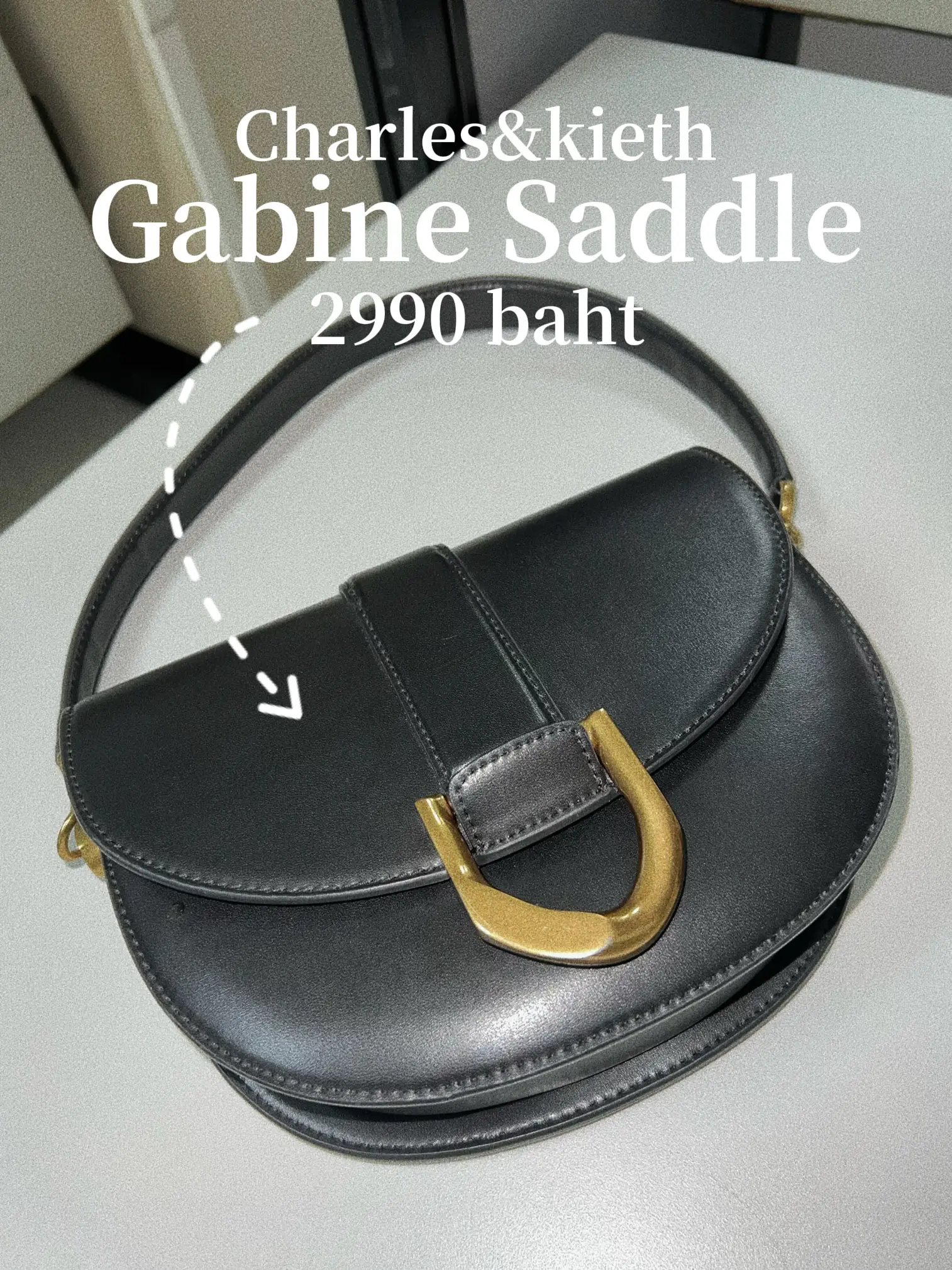 Gabine Saddle กระเป๋าสุดฮอตของ Charles&kieth 😍 | แกลเลอรีที่โพสต์โดย Ploy.isara | Lemon8