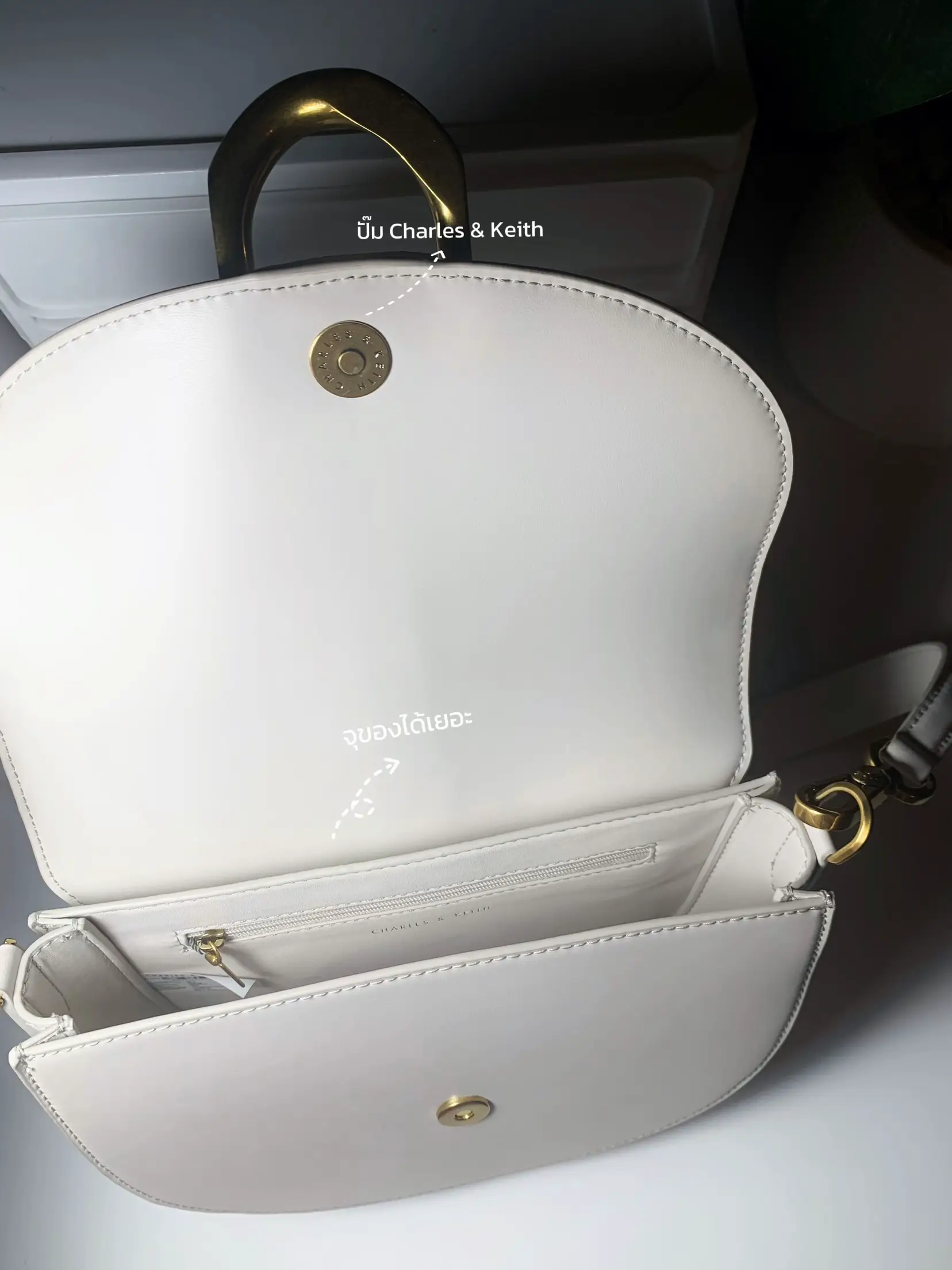 Charles & Keith: Gabine Sadlle Bag | แกลเลอรีที่โพสต์โดย tthatcha | Lemon8