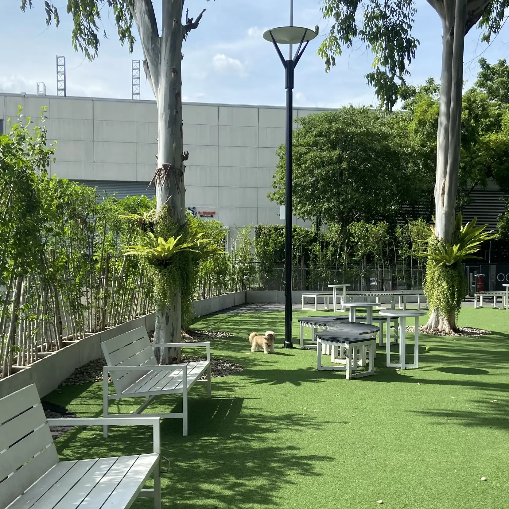 CDC Pet Park 💖🐾 พื้นที่ฟรีพาน้องหมาวิ่งเล่น | แกลเลอรีที่โพสต์โดย Rasarinrosielyn | Lemon8