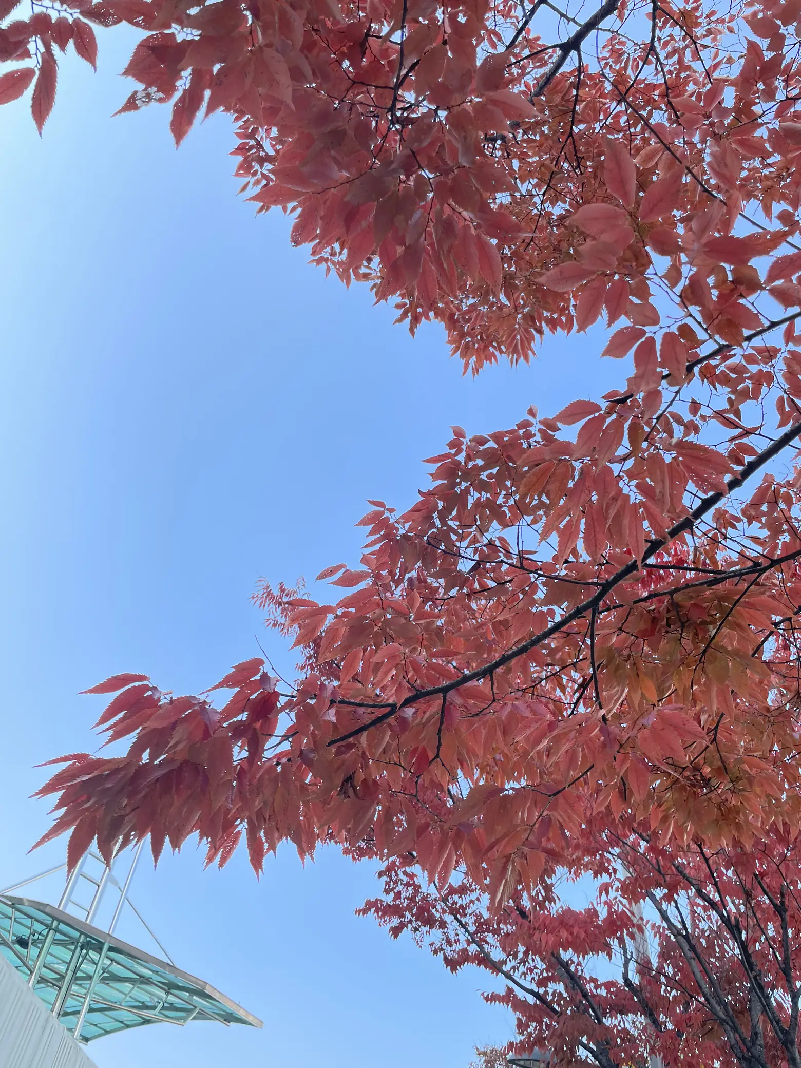 รีวิวคอนเสิร์ต NCT 127 : THE LINK+ ฉบับบินไปดูที่เกาหลี | แกลเลอรีที่ ...