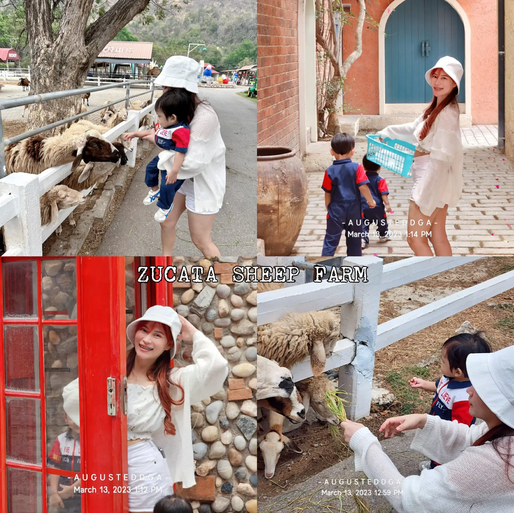 Cha check-in spot zucata sheep farm | Gallery posted by Louktarn LW | Lemon8