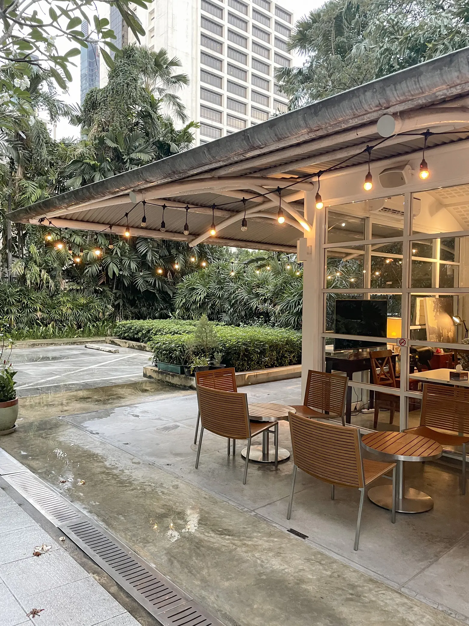 ฟิลปารีส in ห้องสมุดเนียลสัน เฮส์⭐️ (Neilson Hays Library) | แกลเลอรี ...