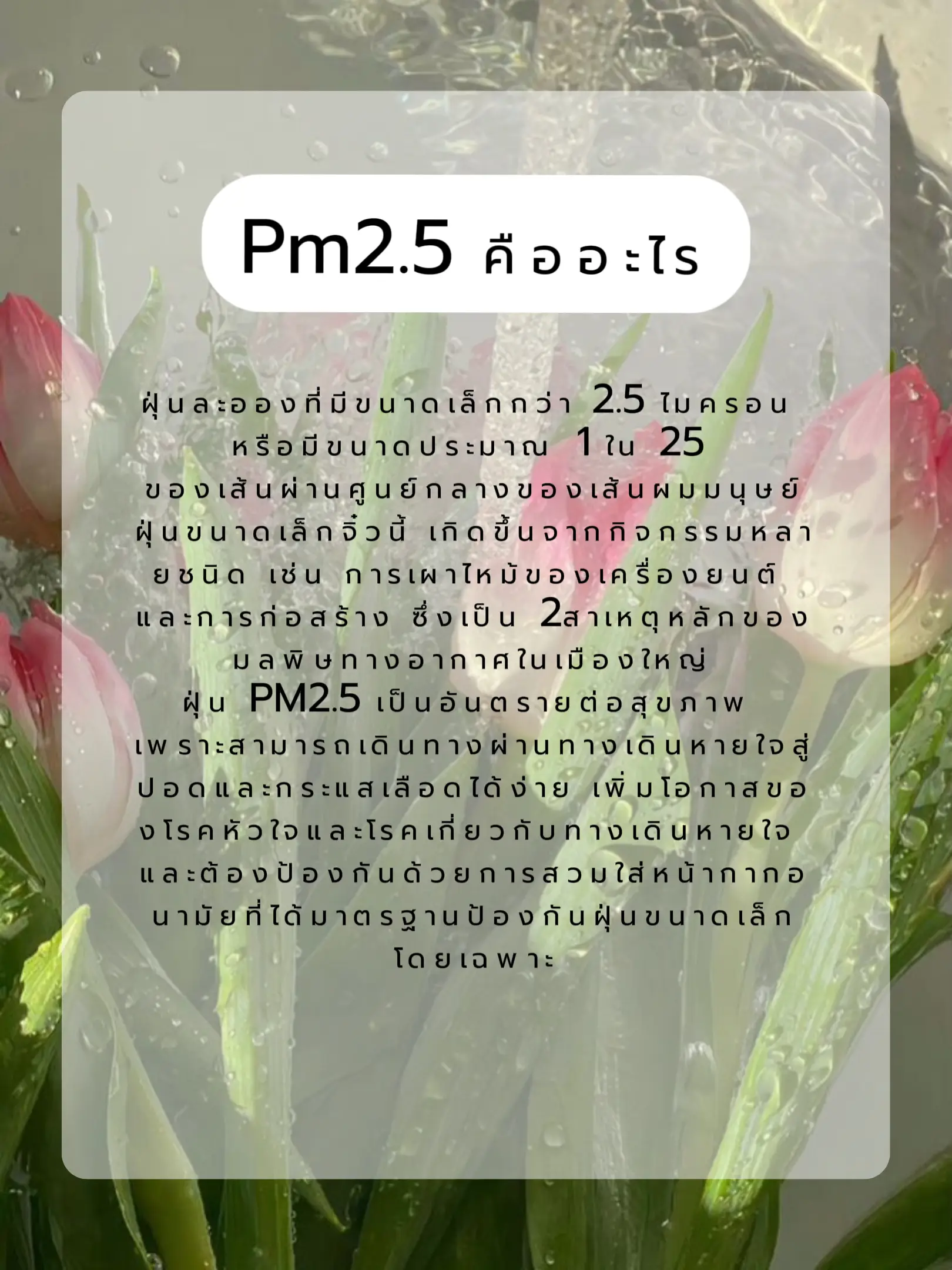 ผิวแพ้จากPM2.5 เปลี่ยนรูทีนยังไงดี | แกลเลอรีที่โพสต์โดย มายมาreview | Lemon8