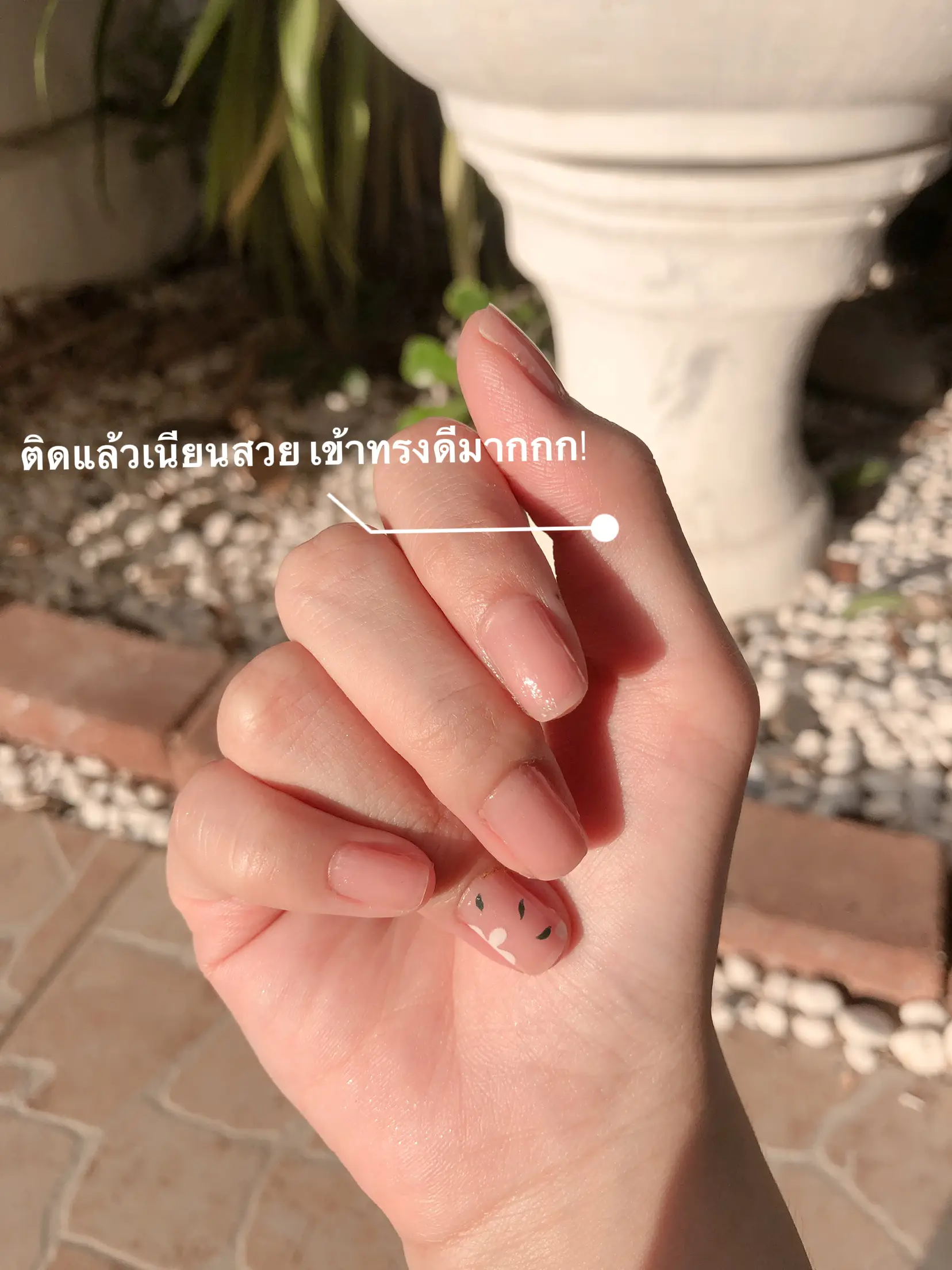 เล็บสวยด้วยงบแค่ 20 บาท! | แกลเลอรีที่โพสต์โดย Jaao_kp | Lemon8