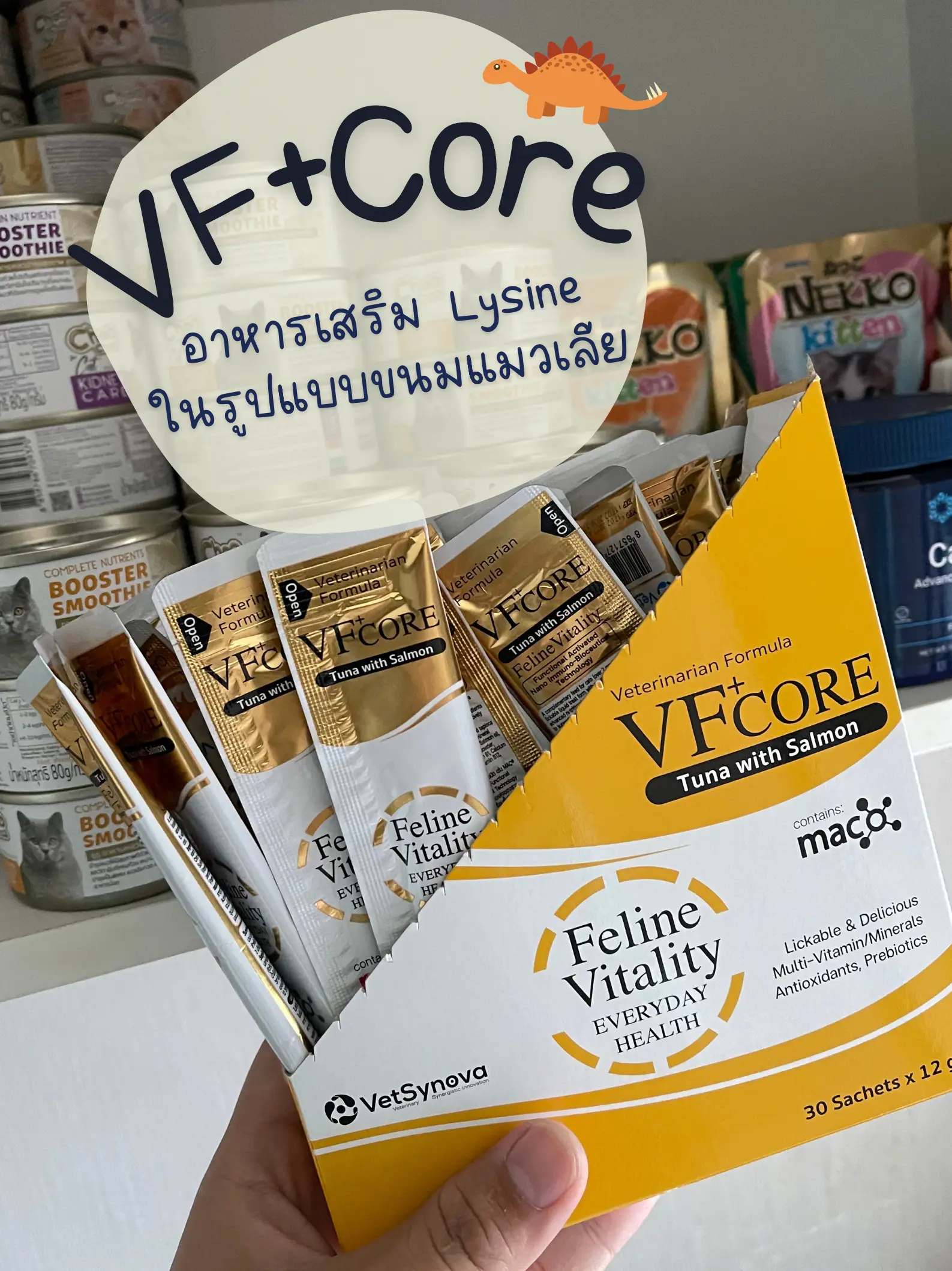 VF+CORE | แกลเลอรีที่โพสต์โดย Evalyn | Lemon8