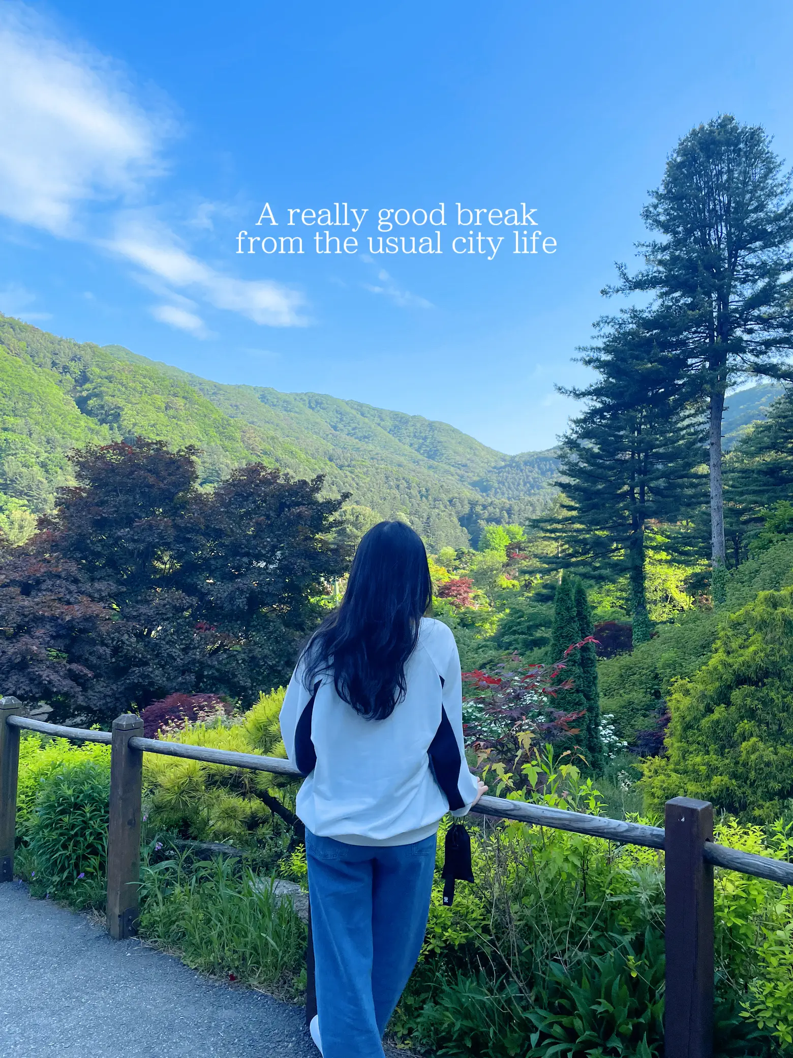 GARDEN OF THE MORNING CALM 💐 A MUST GO! | Gallery posted by Pam | Lemon8