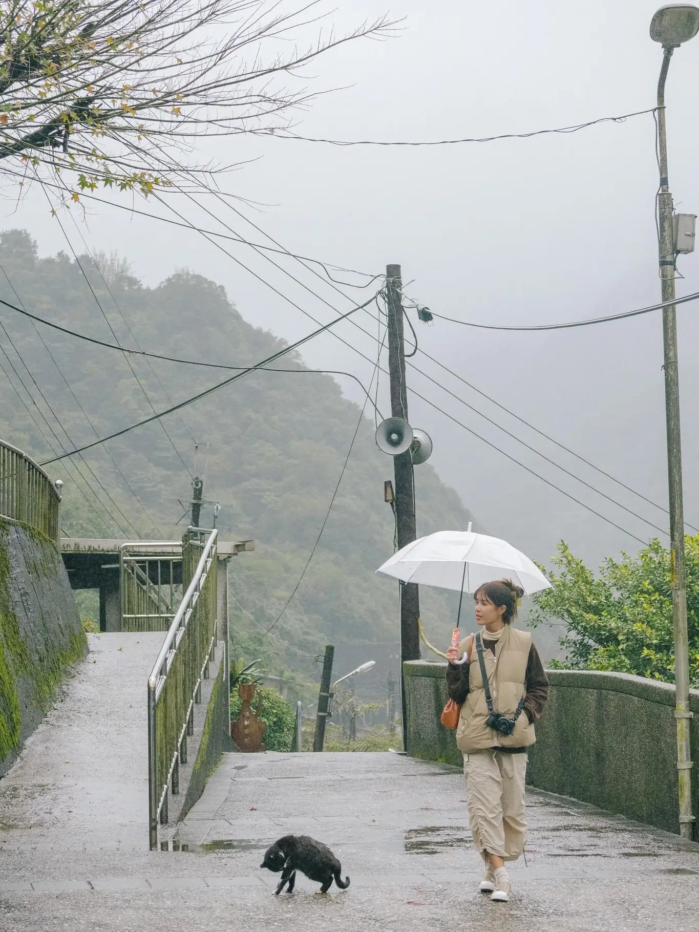 หมู่บ้านแมว ‘Houtong Cat Village’ #ไต้หวัน 🐈🇹🇼 | Gallery posted by lbzero | Lemon8
