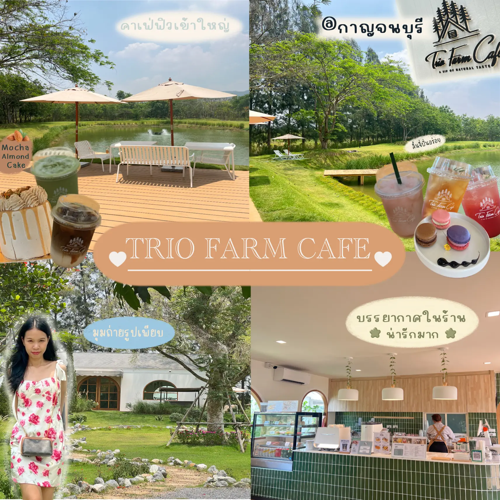 Trio_Farm_Cafe คาเฟ่ฟิวเขาใหญ่ @กาญจนบุรี | แกลเลอรีที่โพสต์โดย Ardy ️ ...