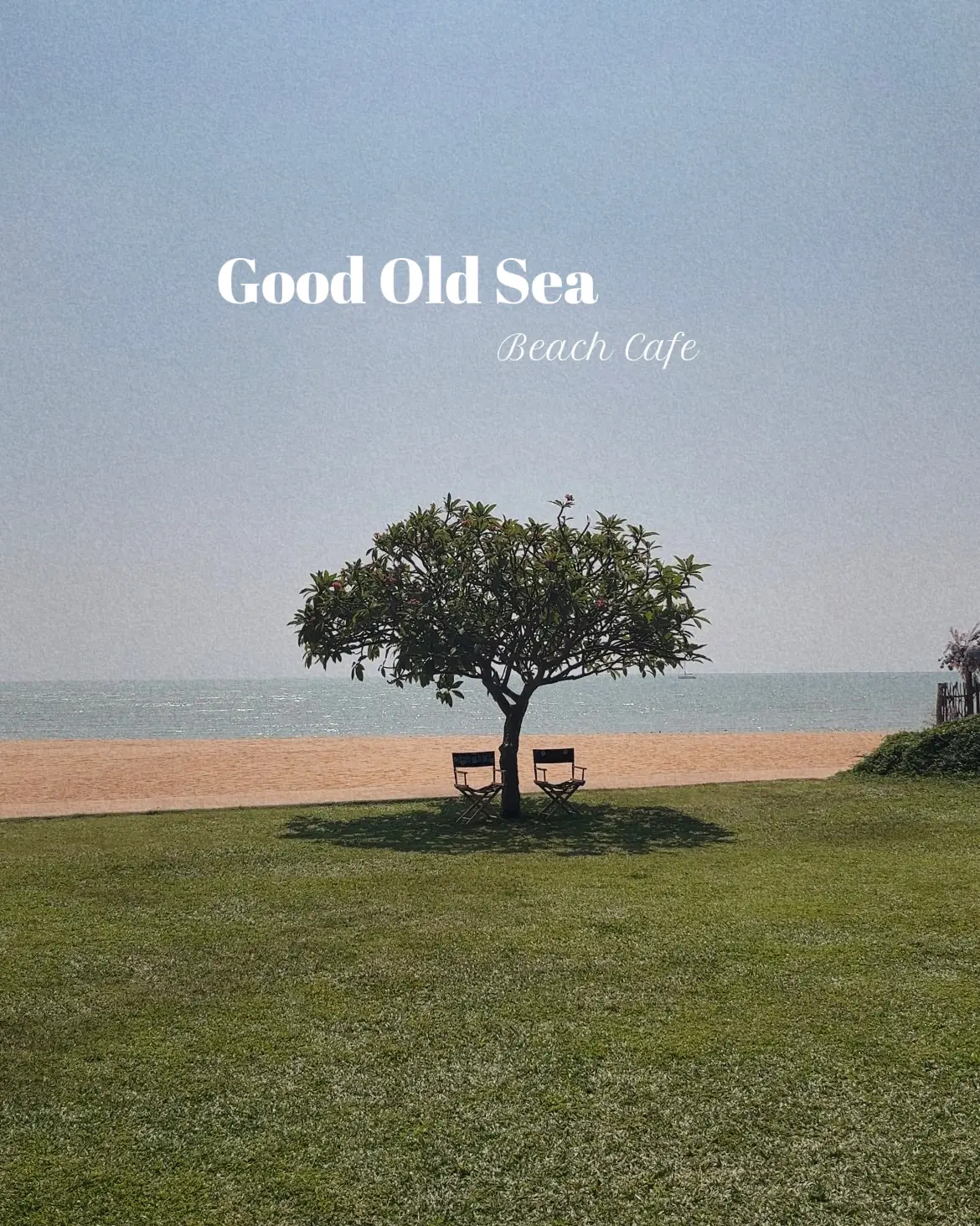 👙Good old sea Cafe | Pattaya 🌺 | แกลเลอรีที่โพสต์โดย Cheetahx🧚🏻‍♀️ | Lemon8