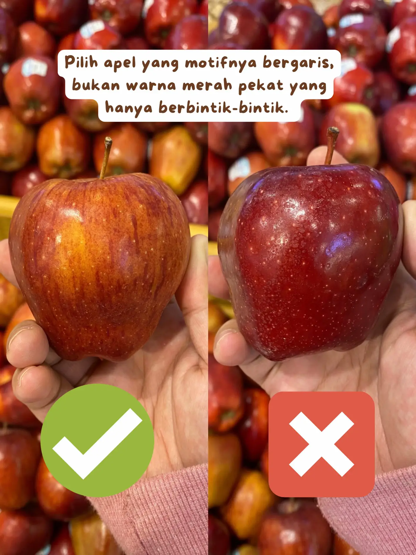 Merah Belum Tentu Manis! Tips Memilih Apel 🍎 | Galeri diposting oleh ...