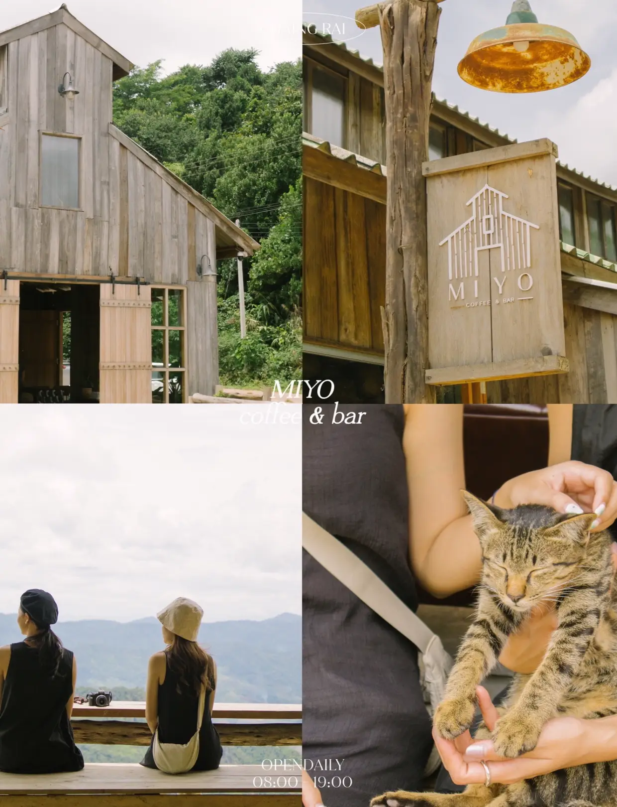 12 คาเฟ่ เชียงราย เที่ยวได้ทุก season! 🫶🏻🥯🍨 | แกลเลอรีที่โพสต์โดย lbzero | Lemon8