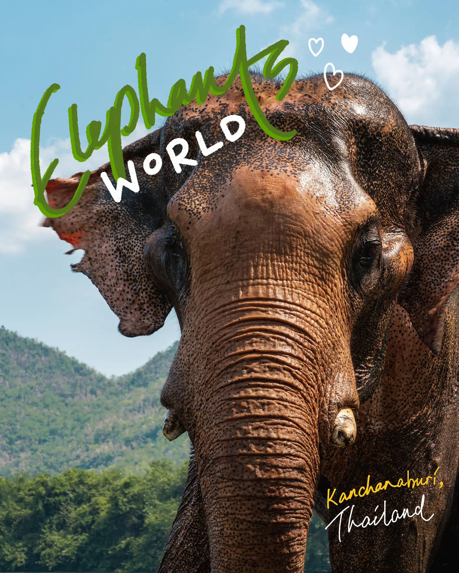 Elephants World — Kanchanaburi, Thailand 🐘 | Gallery posted by thetravelintern | Lemon8