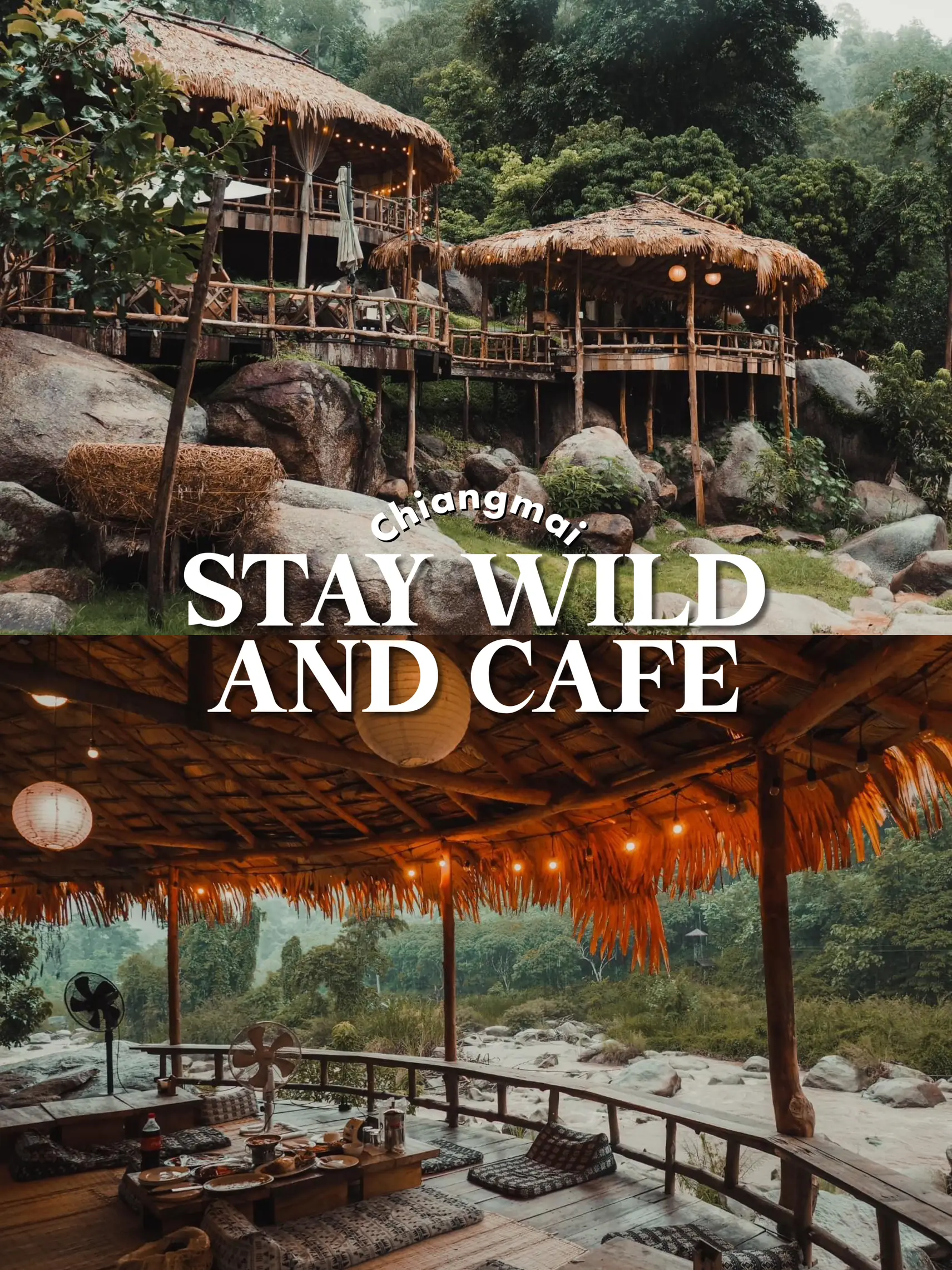 💚หนีมาชาร์จแบตร่างกายที่ Stay Wild&Cafe อ.แม่แตง เชียงใหม่ | แกลเลอรีที่โพสต์โดย Fernfunny | Lemon8