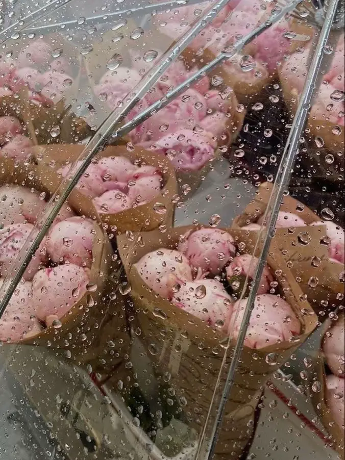 Pfp - การค้นหาใน Lemon8