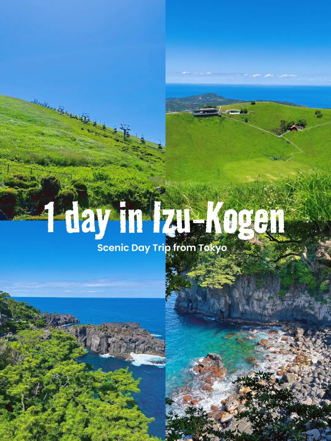 🇯🇵 1 Day Izu-Kogen Itinerary - day trip from Tokyo | Gallery posted by ...