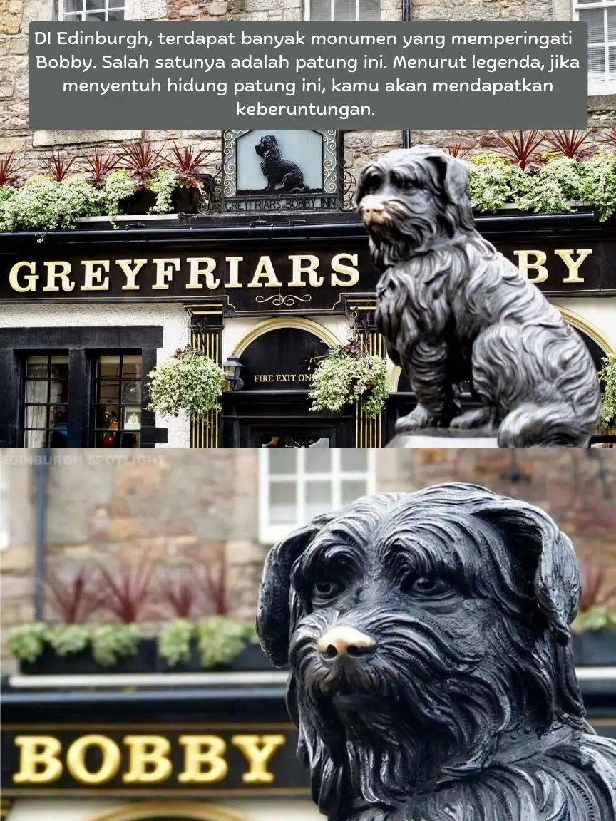 Greyfriars Bobby Anjing paling setia di Edinburgh | Galeri diposting oleh Enta Fadila | Lemon8