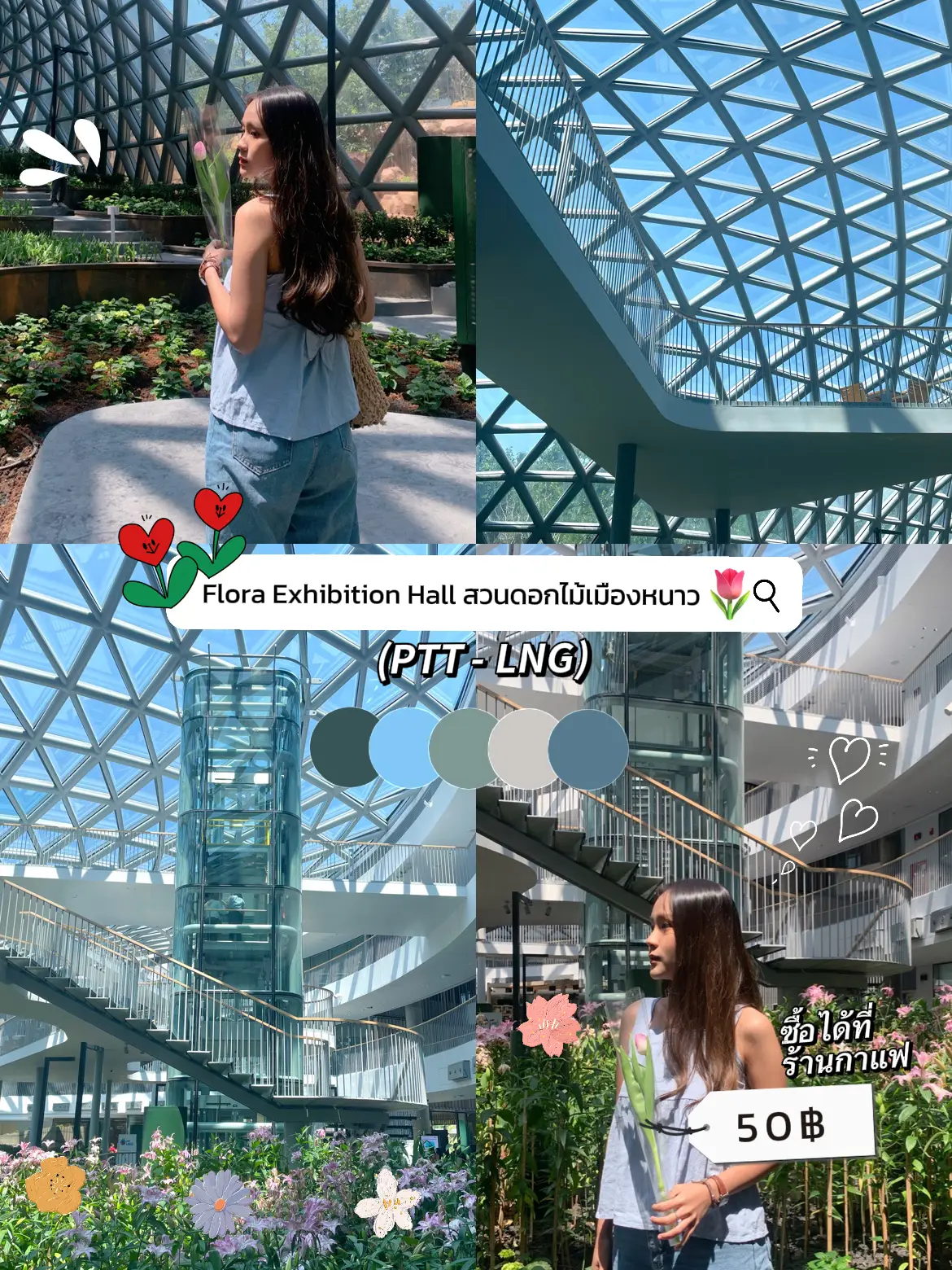 Flora Exhibition Hall (PTT LNG)🌷🌸 | แกลเลอรีที่โพสต์โดย C.cher_ry94 | Lemon8