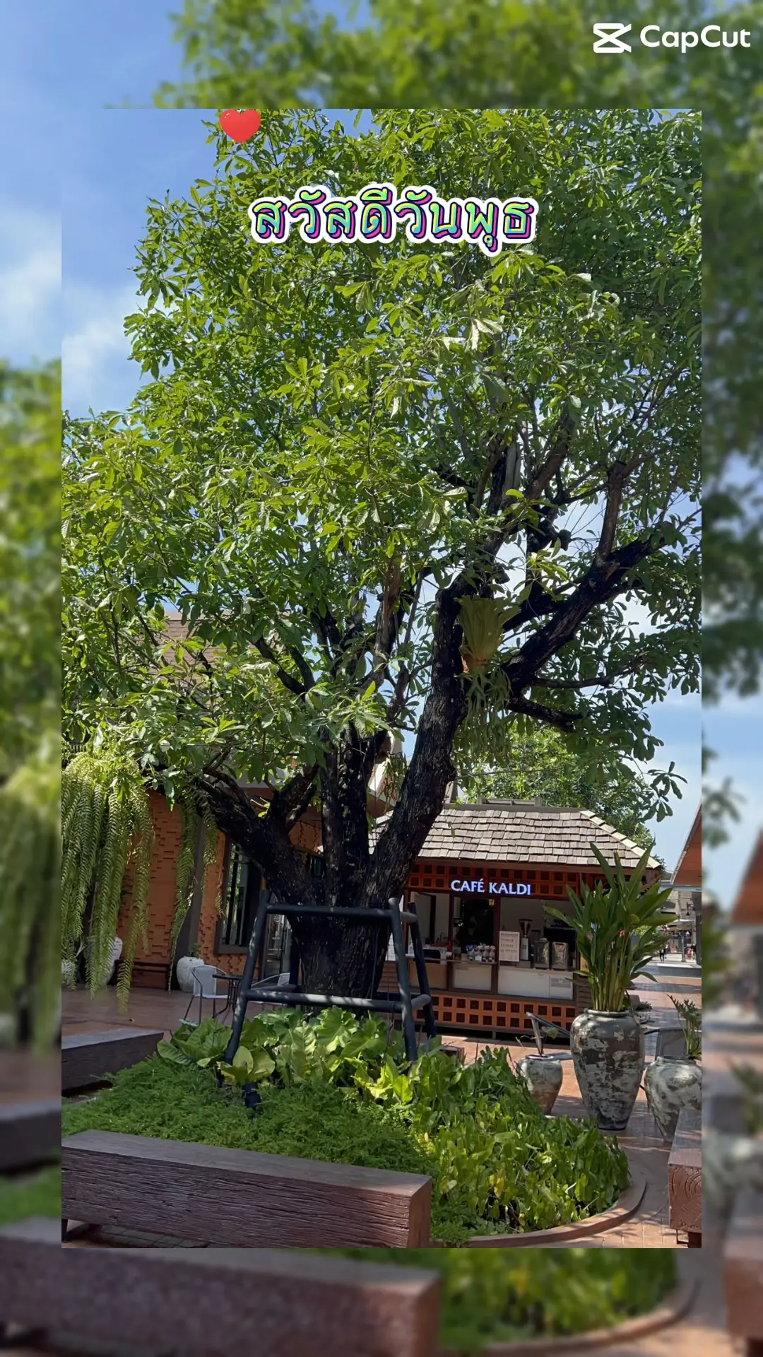 tip_channel โพสต์ผลงานแล้ว ดูแ | วิดีโอที่เผยแพร่โดย ทิพวรรณ เจอาร์ ...