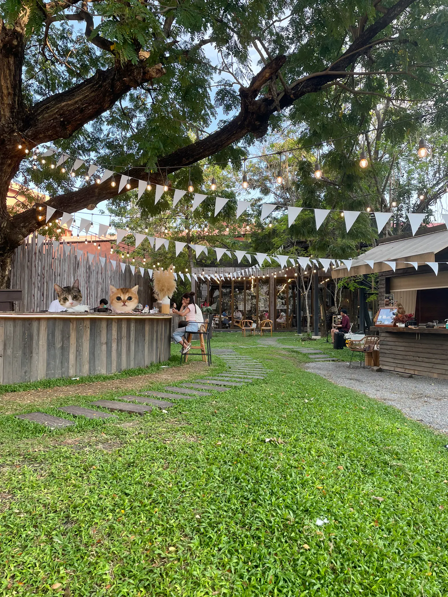 The Wood Land 🏡 Nut Neighborhood Control Tone Cafe | Gallery posted by Pannnstory | Lemon8