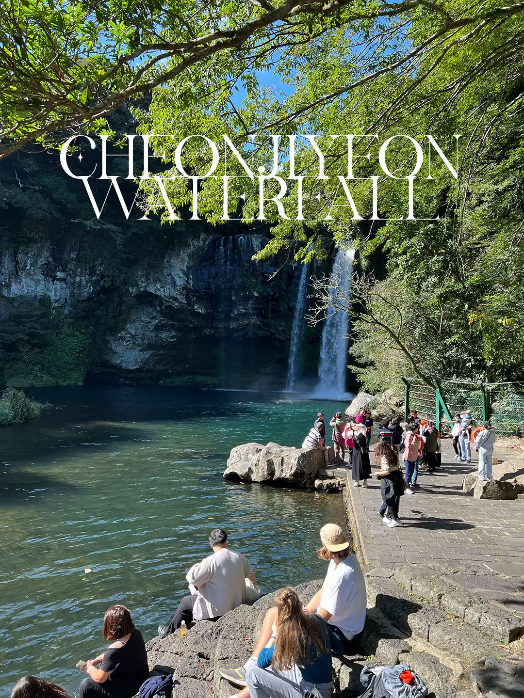 jeju guide - Lemon8 Search