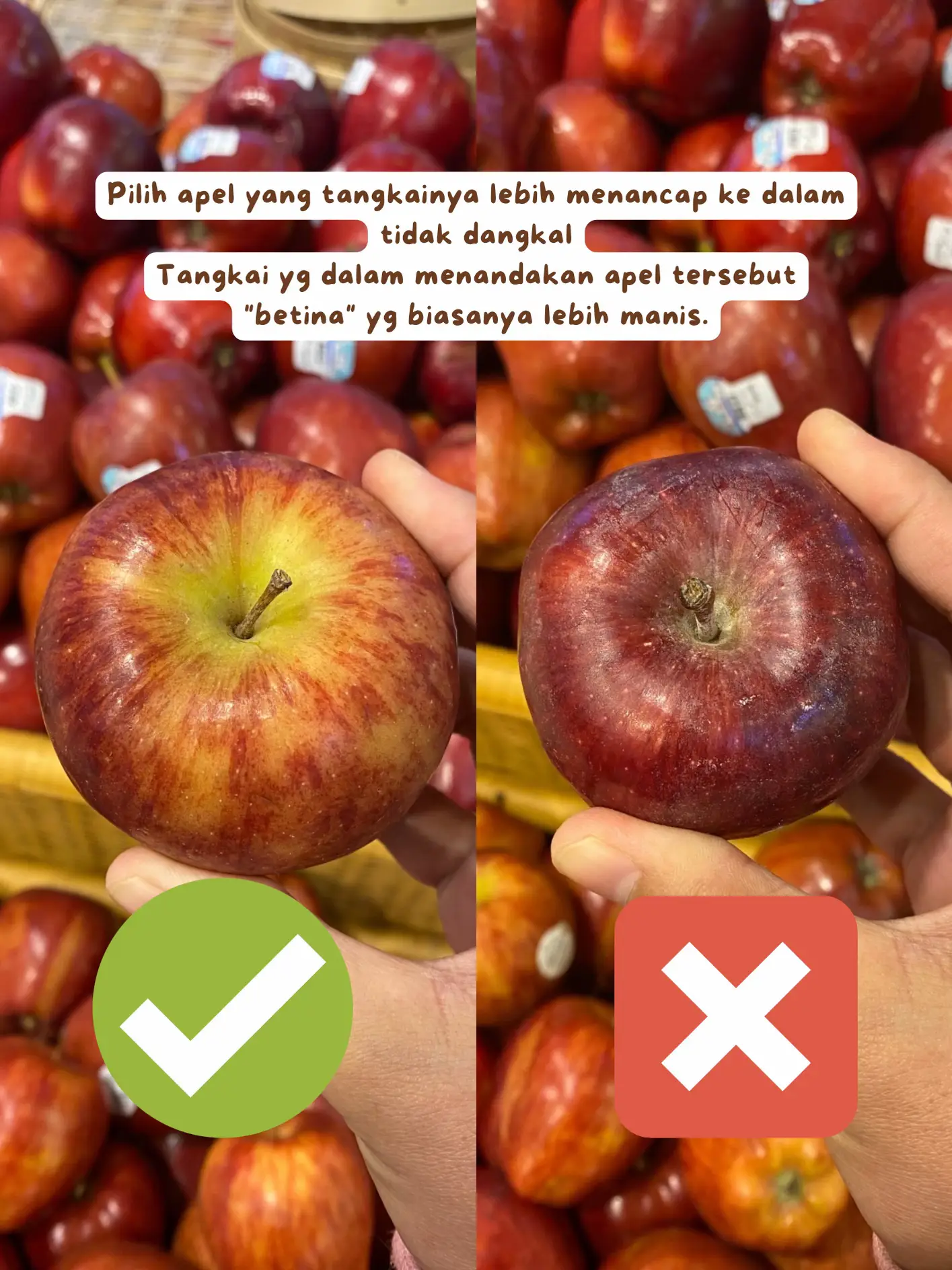 Merah Belum Tentu Manis! Tips Memilih Apel 🍎 | Galeri diposting oleh ...
