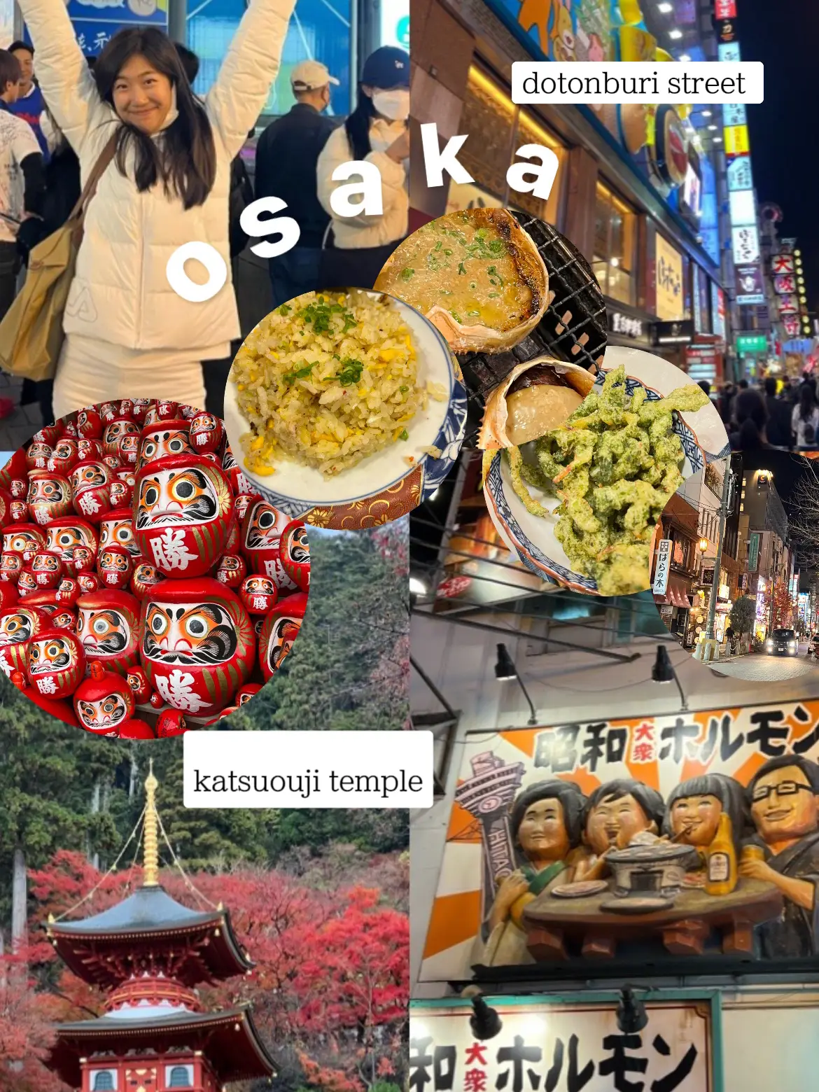 12D11N japan 🇯🇵 itinerary to tokyo,osaka,ise,kyoto | Gallery posted by ...