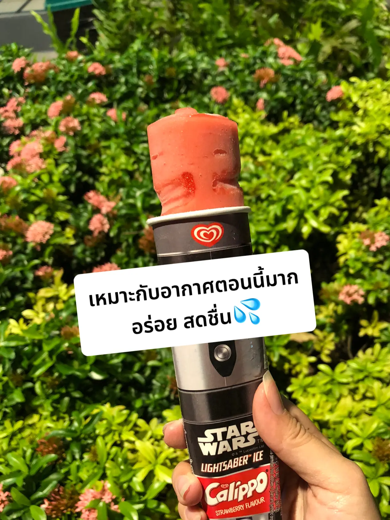 ไอติมวอลล์รสใหม่ | แกลเลอรีที่โพสต์โดย jxngksm | Lemon8