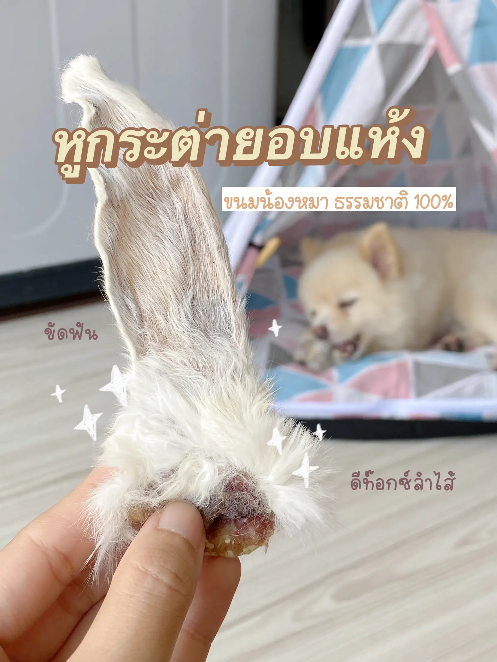 🐰 Rabbit ears, salmon, dried cow trachea 🐮 | Gallery posted by มันนี่ ...