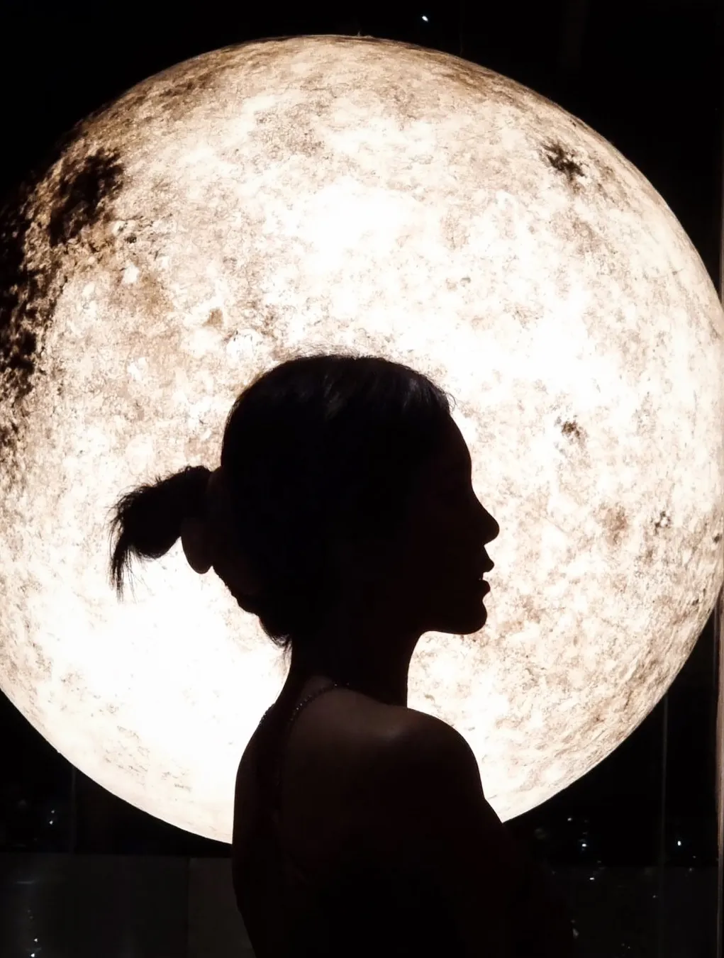 ดินเนอร์สุดหรู ที่ WOLF984 | แกลเลอรีที่โพสต์โดย Tagoon Prappre | Lemon8