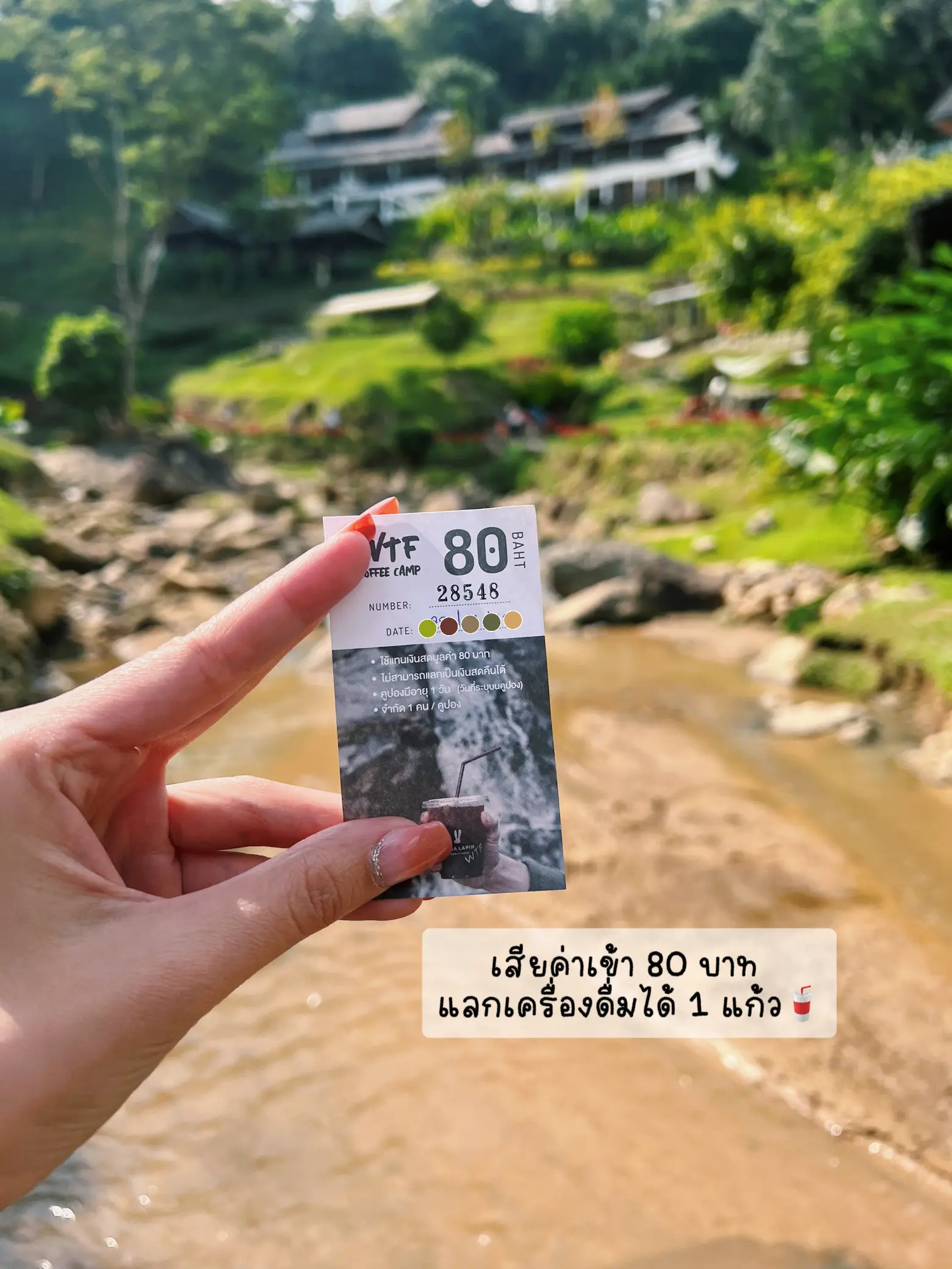 เช็คอินคาเฟ่ WTF Coffee Camp นั่งชิลๆ ริมน้ำตก @ เชียงใหม่⛺️ | แกลเลอรีที่โพสต์โดย Kaimook~ | Lemon8