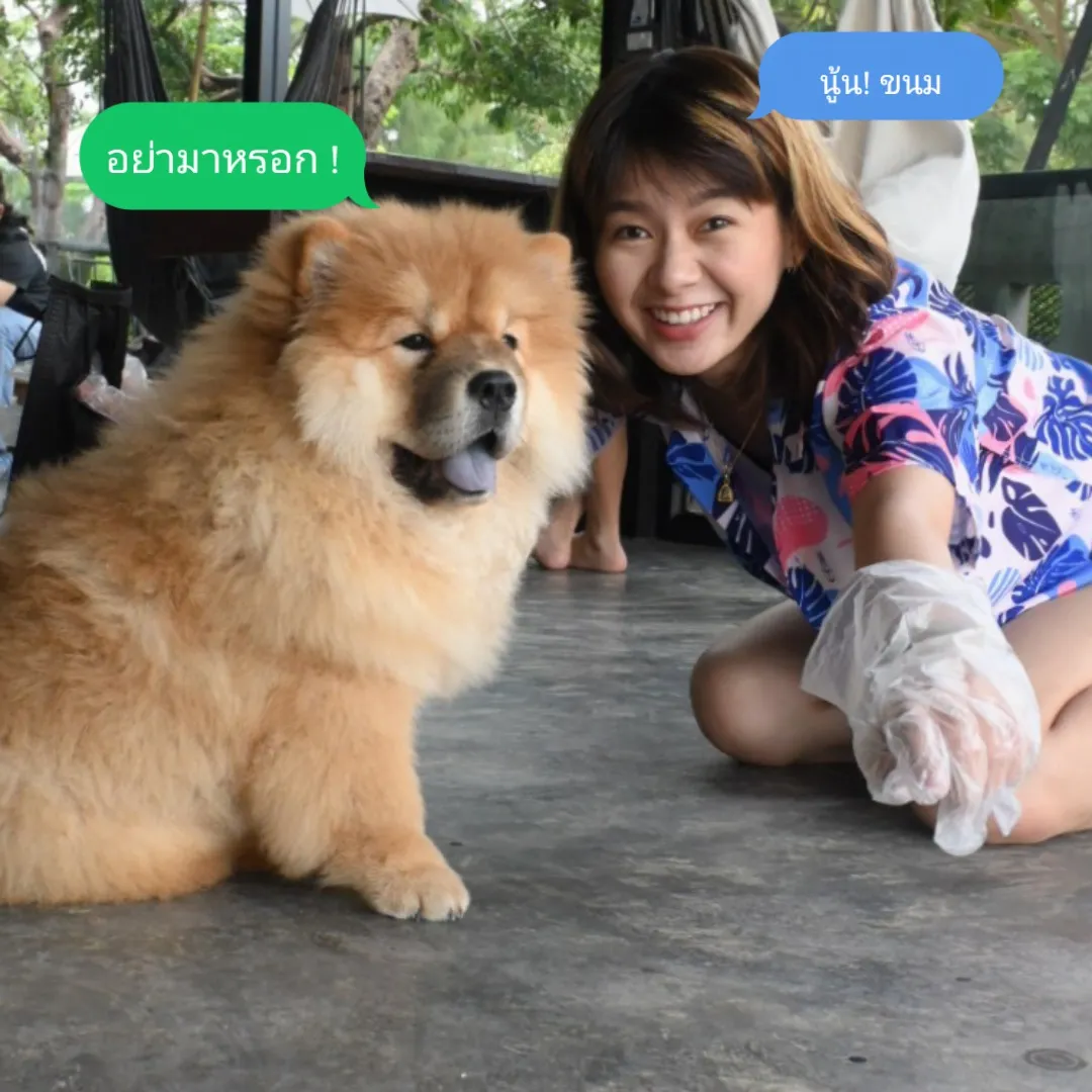 DEE DOG CAFE 🐶🐕‍🦺🐩 | แกลเลอรีที่โพสต์โดย Sister2 | Lemon8