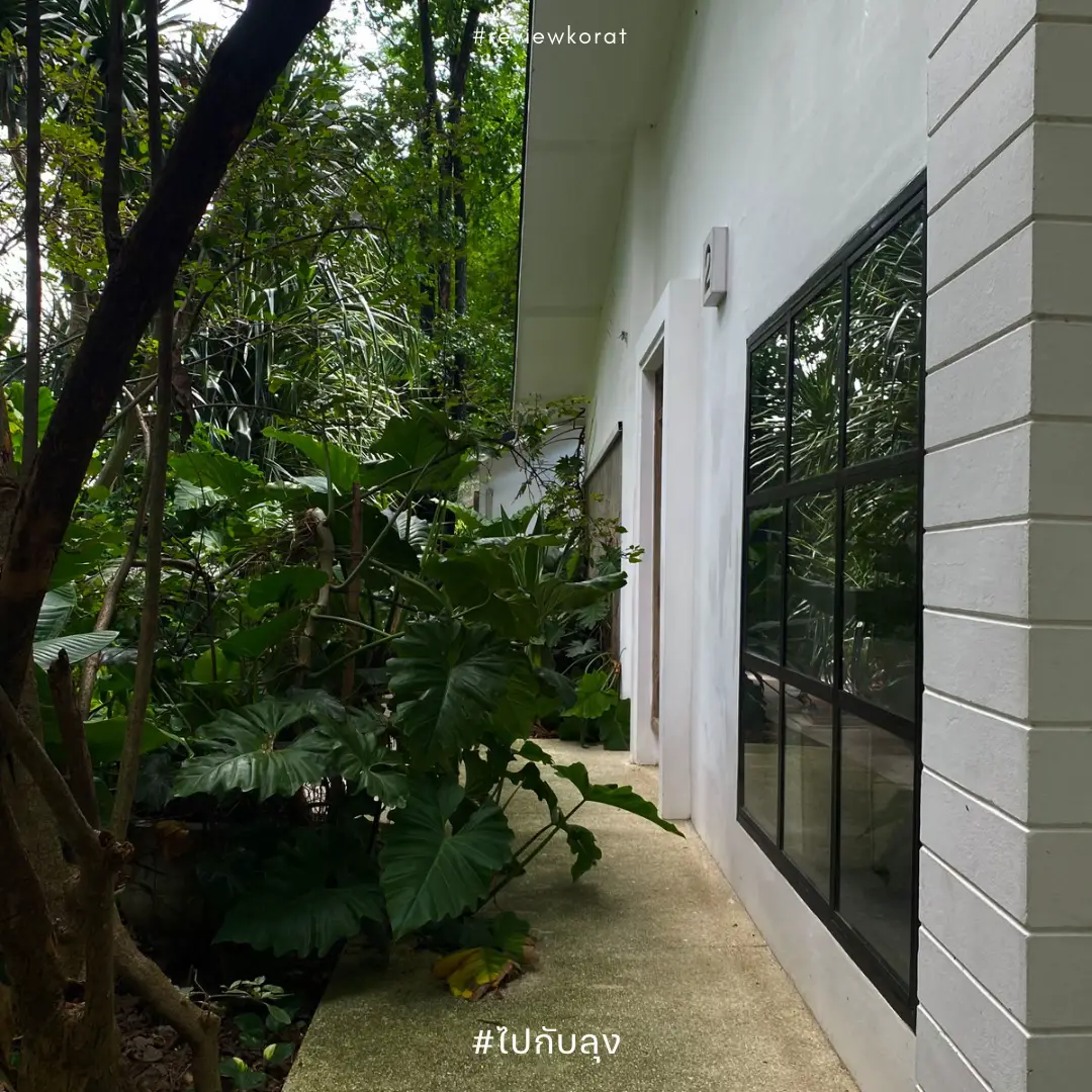 Thongma Studio Khaoyai • korat 🌳#คาเฟ่ปากช่อง | แกลเลอรีที่โพสต์โดย เพจไปตามลุง | Lemon8