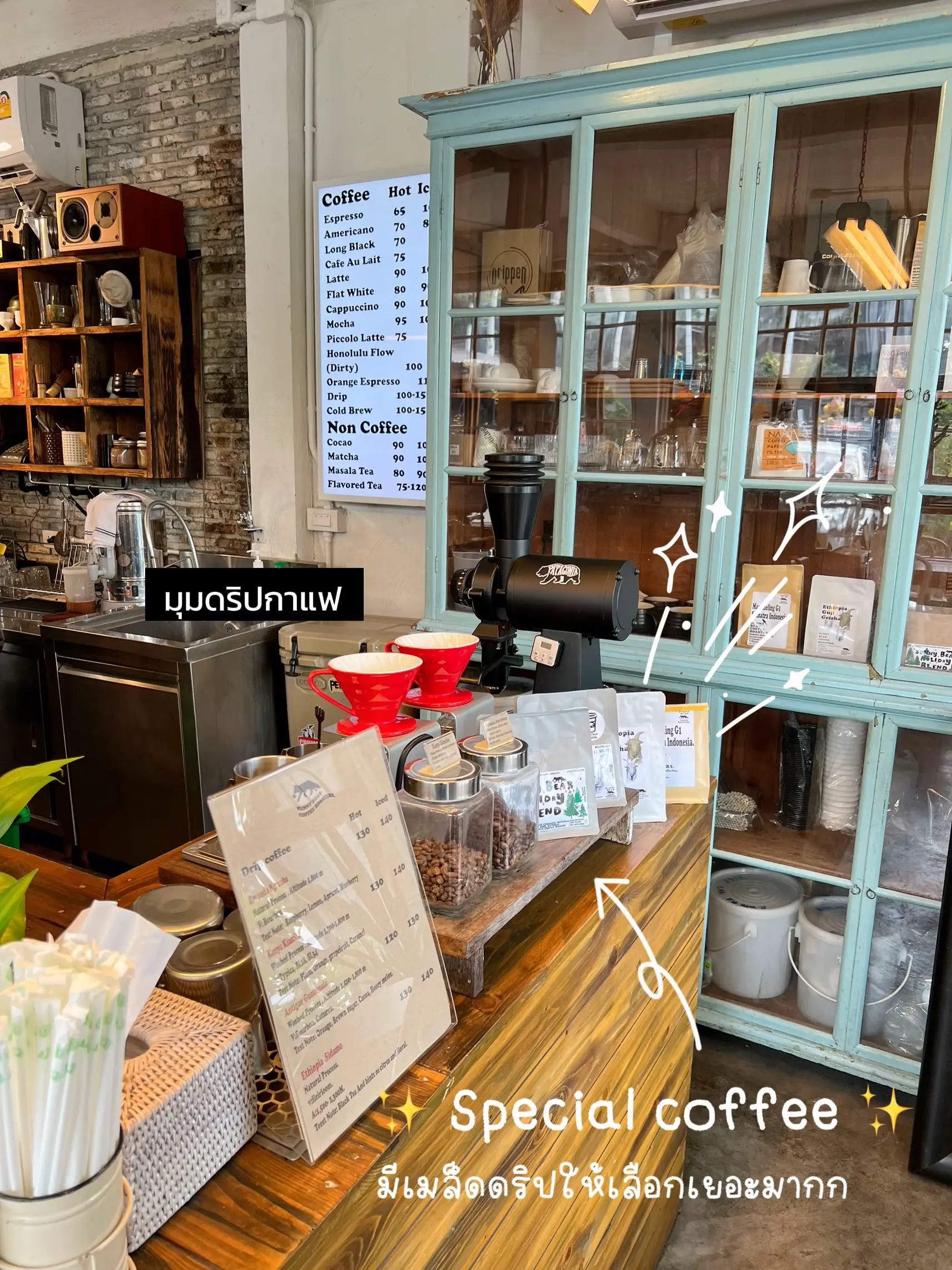 Sunny bear coffee roaster 🥧 | แกลเลอรีที่โพสต์โดย Wasa | Lemon8