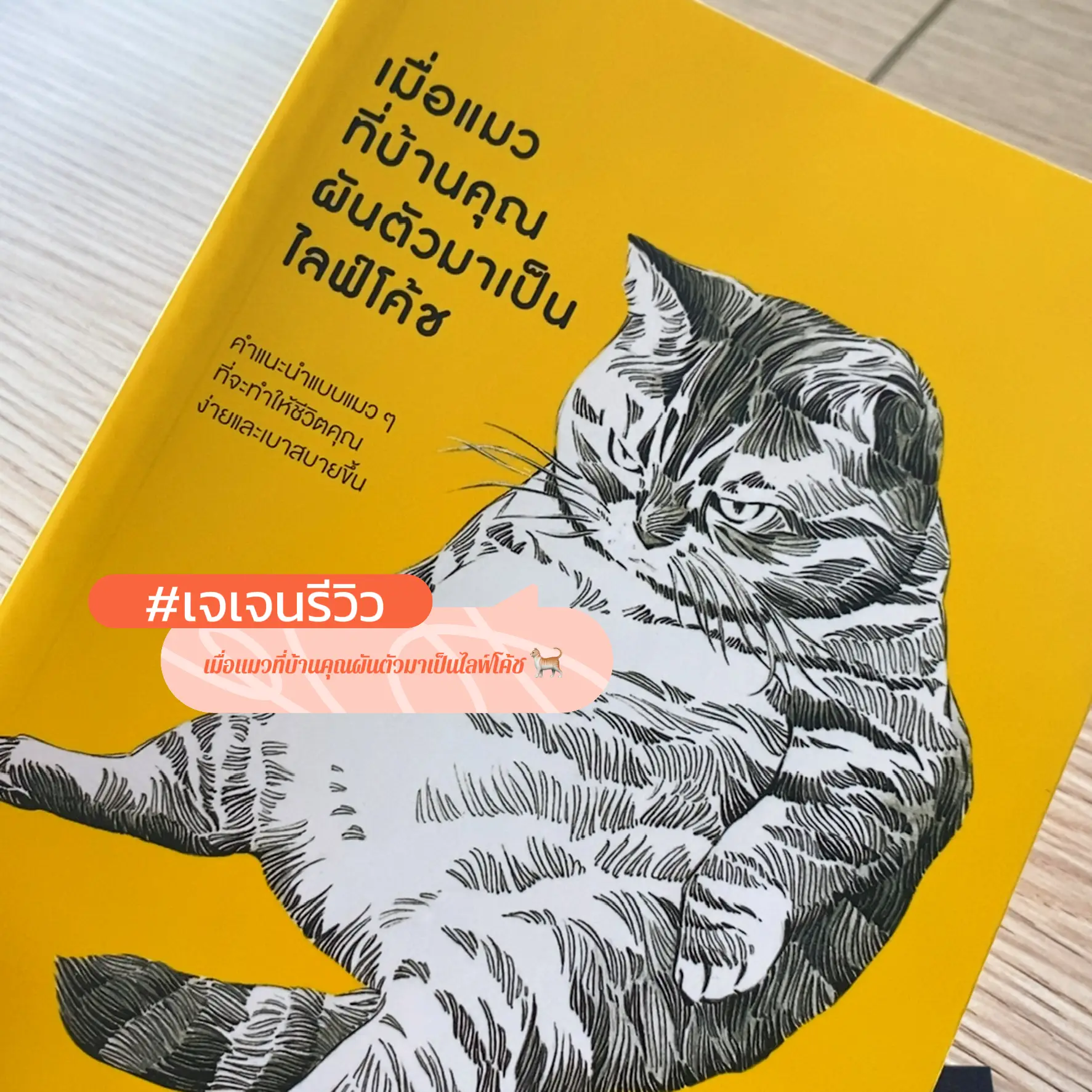 #เจเจนรีวิว หนังสือที่ทาสแมวจะต้องอ่าน 📚🐈 | แกลเลอรีที่โพสต์โดย JJEN_0 ...