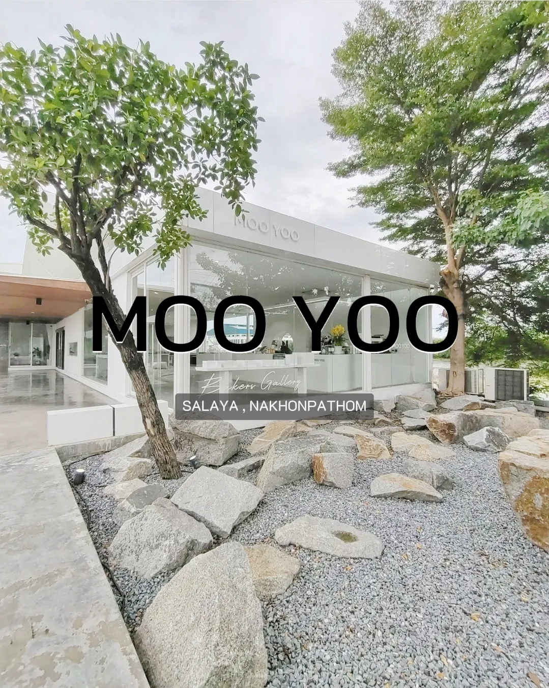 Cafe W/ me #16 - MOO YOO | แกลเลอรีที่โพสต์โดย FPKW_1998 | Lemon8