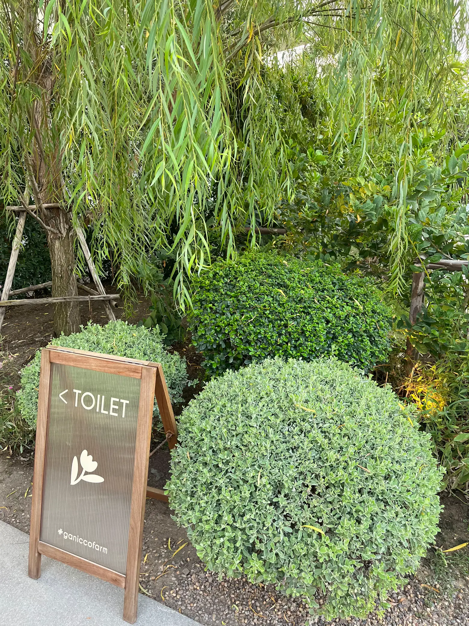 Ganicco Farm Cafe Nonthaburi Cute Every Corner | Gallery posted by aor_story | Lemon8