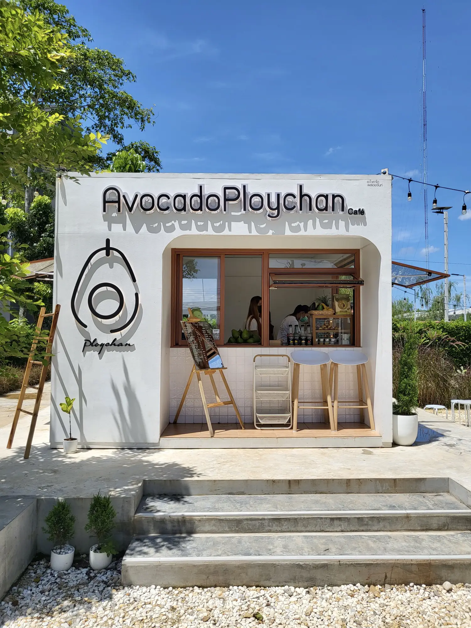 Cafe cado - การค้นหาใน Lemon8