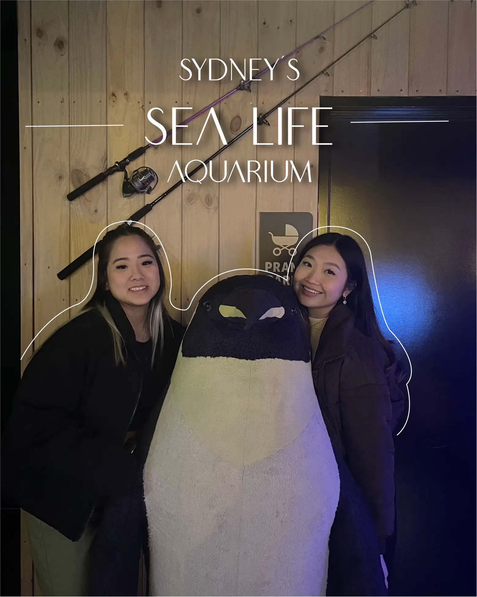 sydney’s SEA LIFE aquarium compared to sg’s? 🐳 | Gallery posted by ...